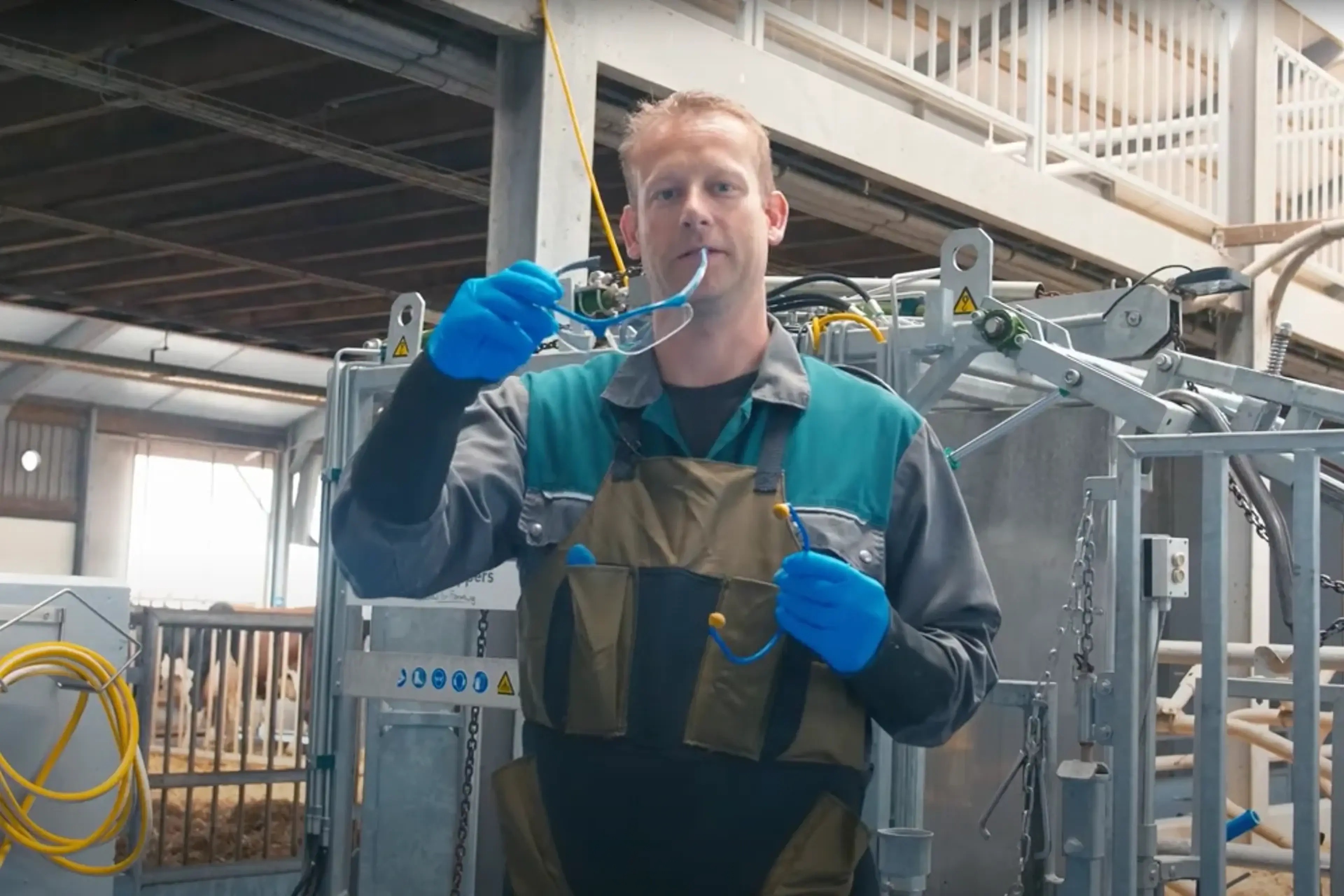 Step-by-step guide for optimal hoof health