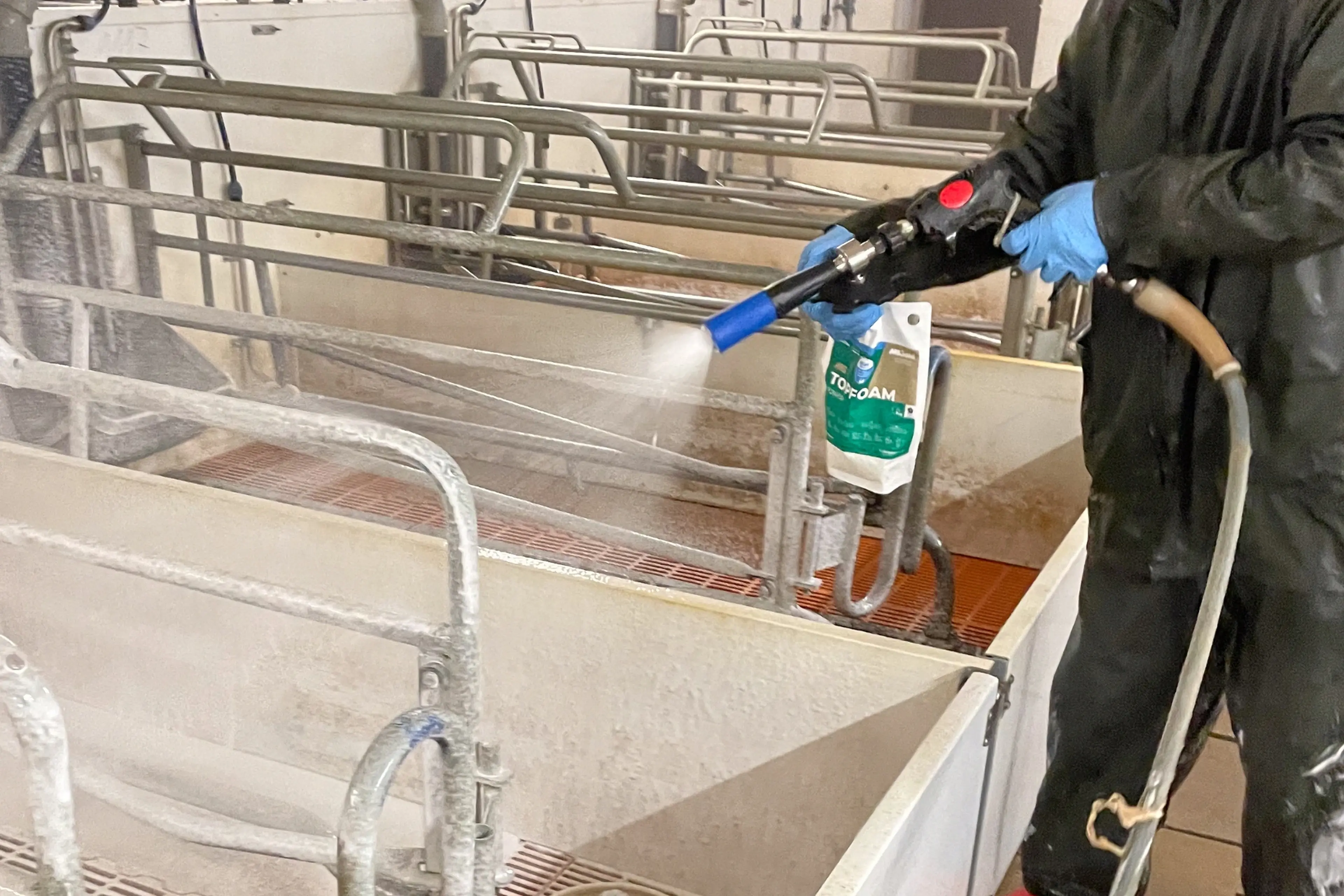 Influenza A Virus in Swine: Prevention and Control Strategies for Pig ...