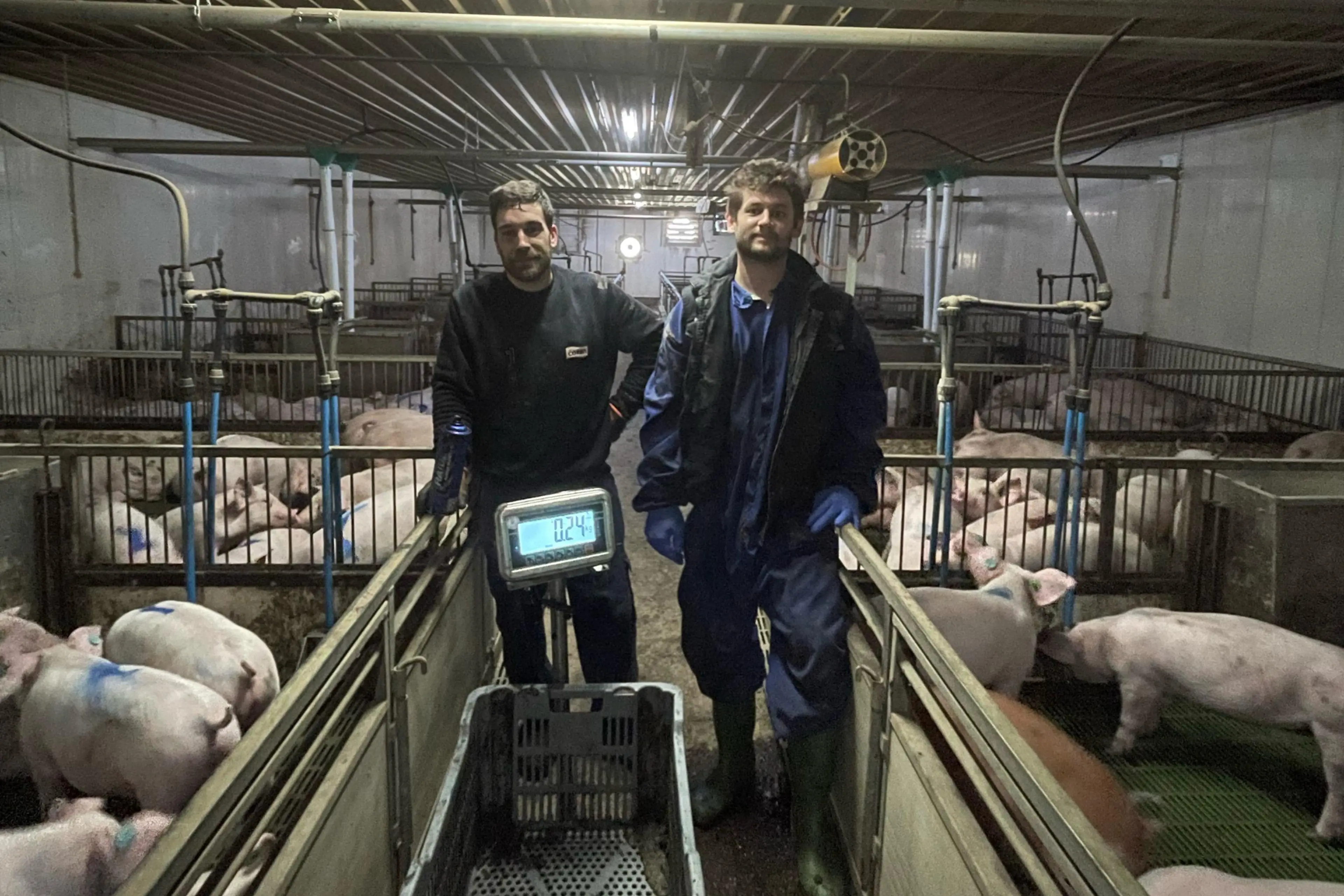 COREN reduces mortality to 1% in collaboration with The Schippers Group