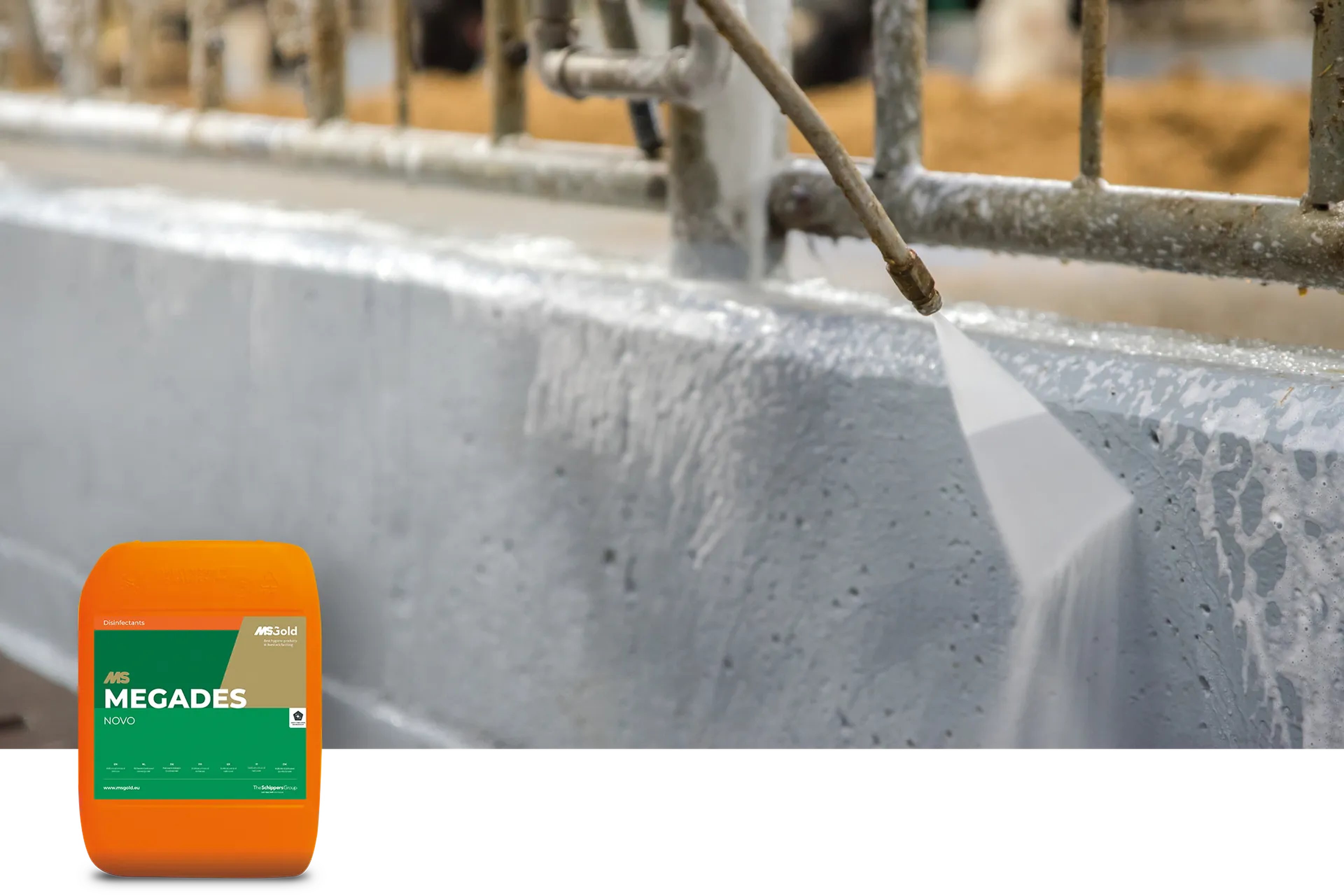 About MS Gold | MS Schippers