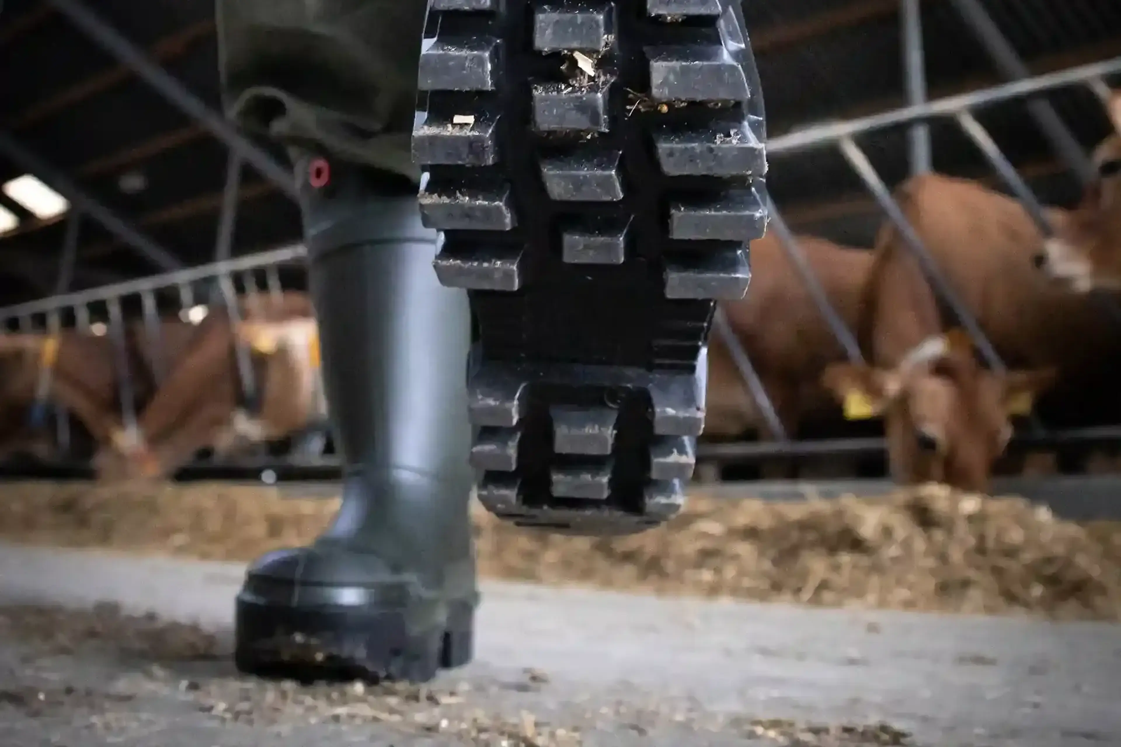 Dunlop: footwear that protects you, all day long