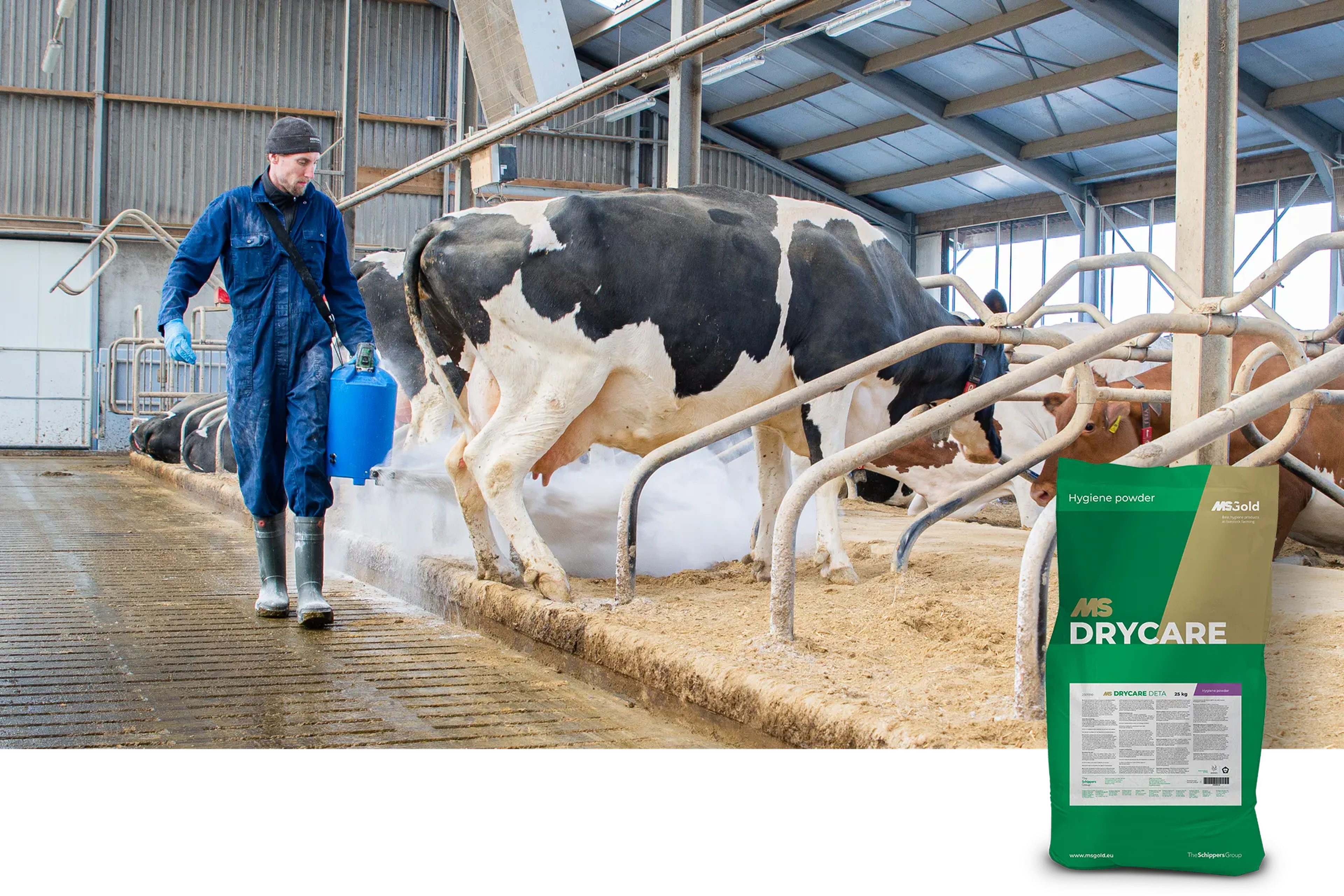 About MS Gold | MS Schippers