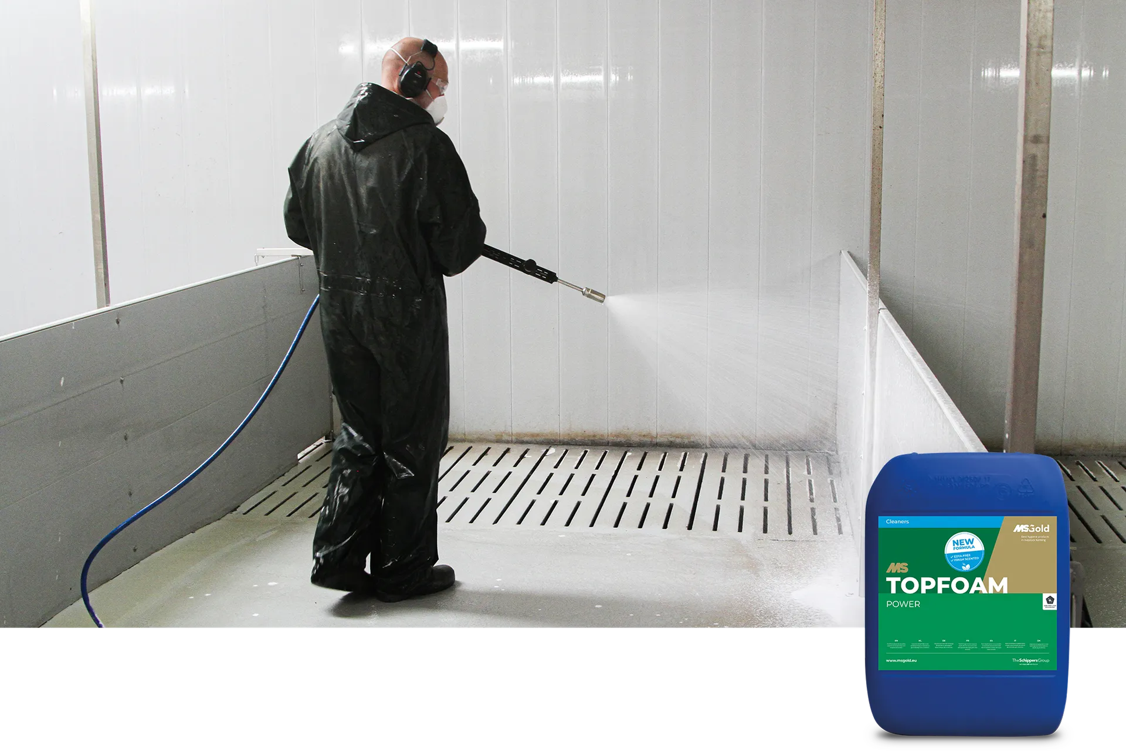 About MS Gold | MS Schippers