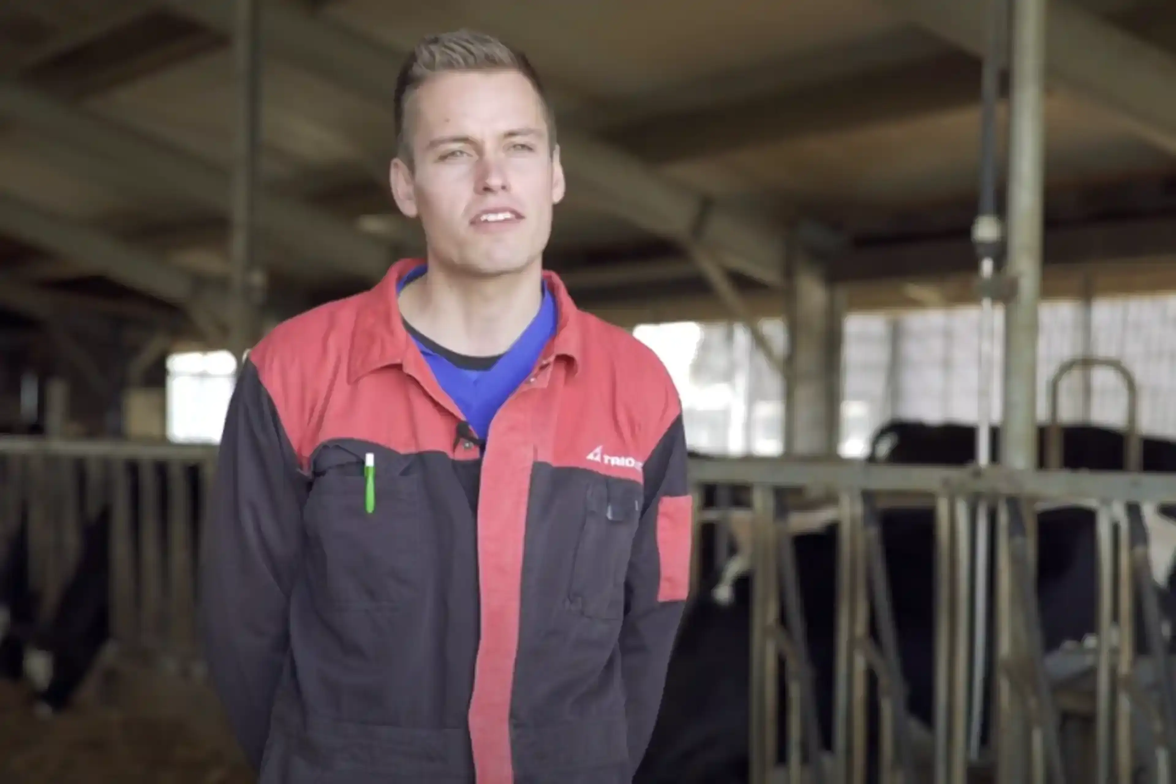 Feed alley coating | Cattle farms | MS Schippers