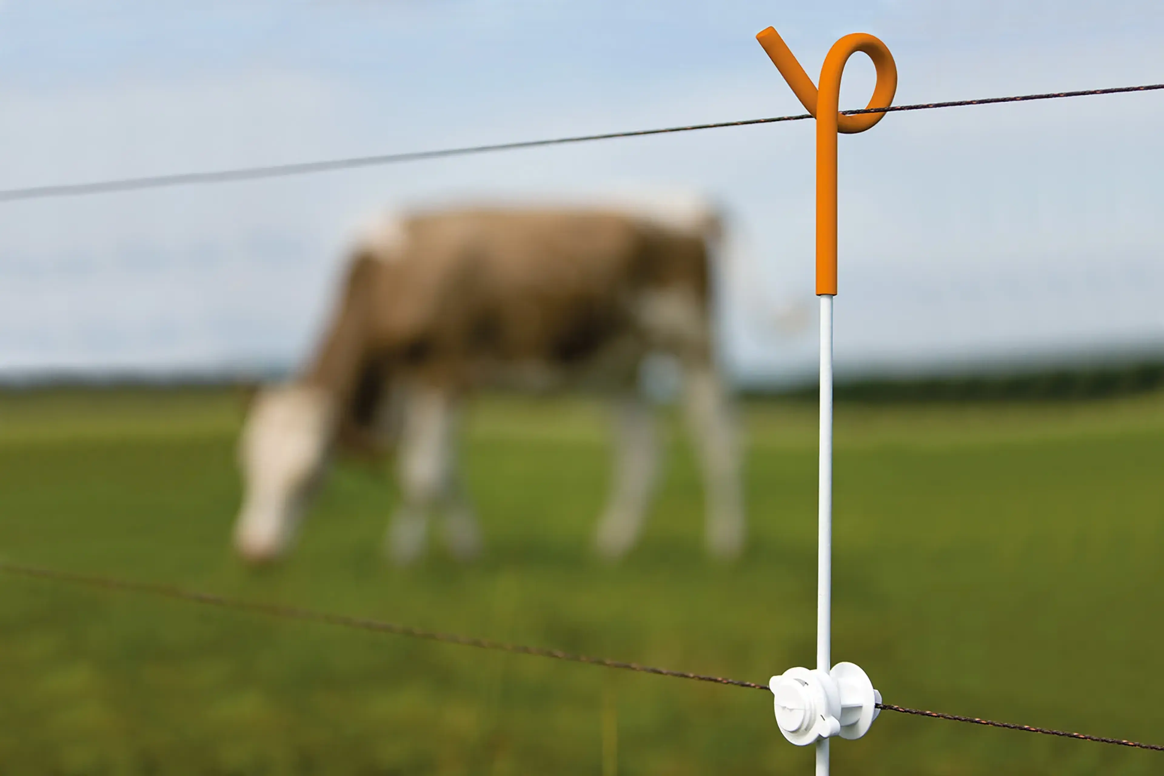 Veilige weideafrastering: bescherm tegen wilde dieren