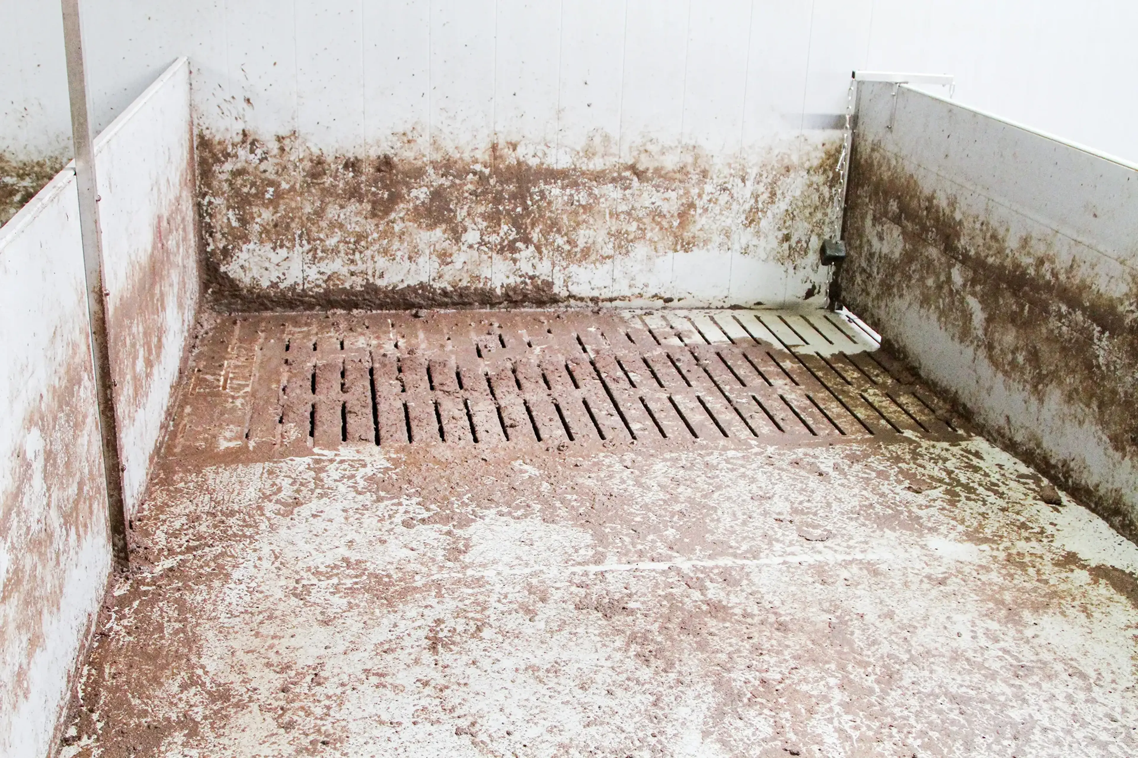 The strongest foam cleaner in the livestock industry