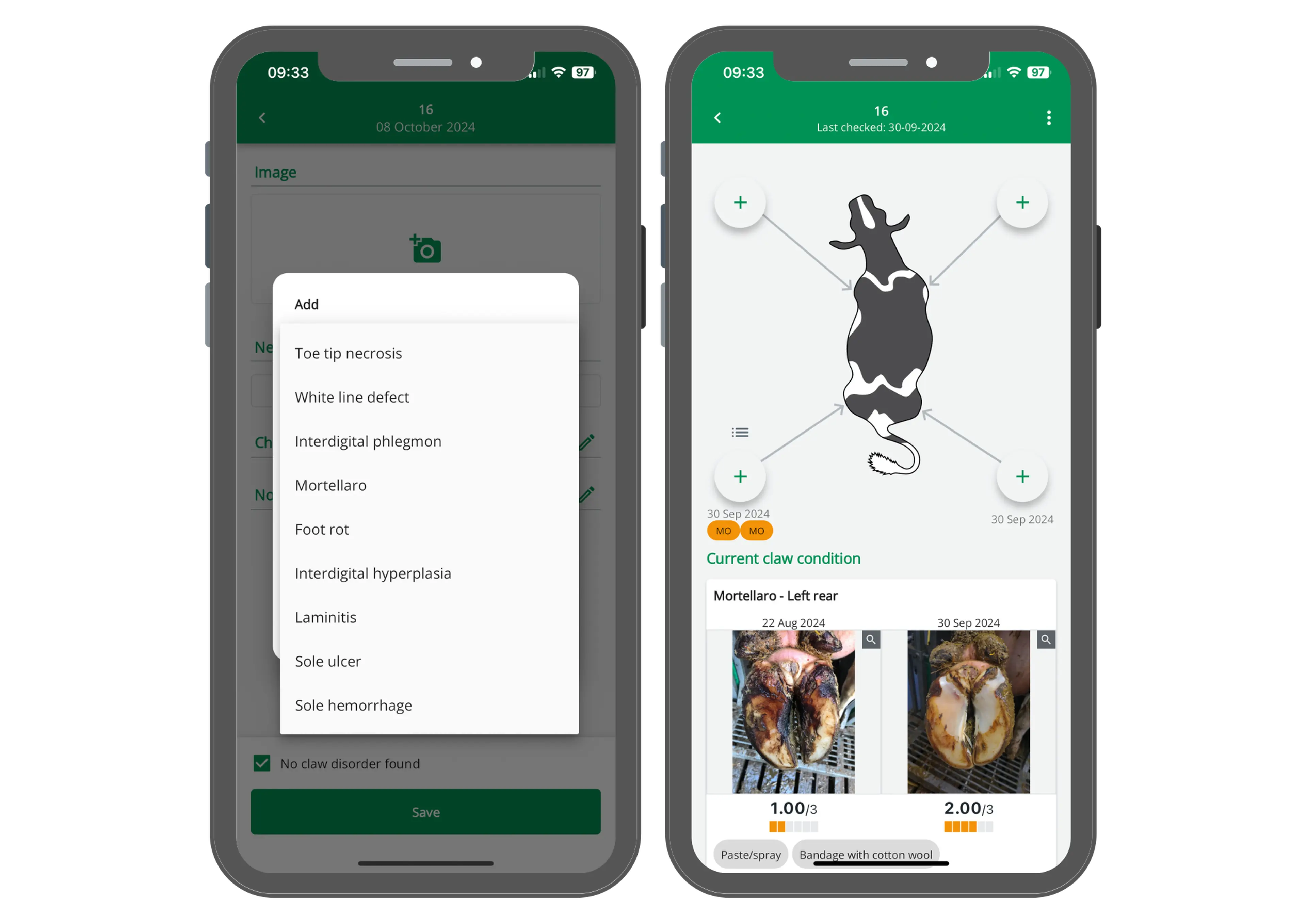 HyCare Digital Hoofcare