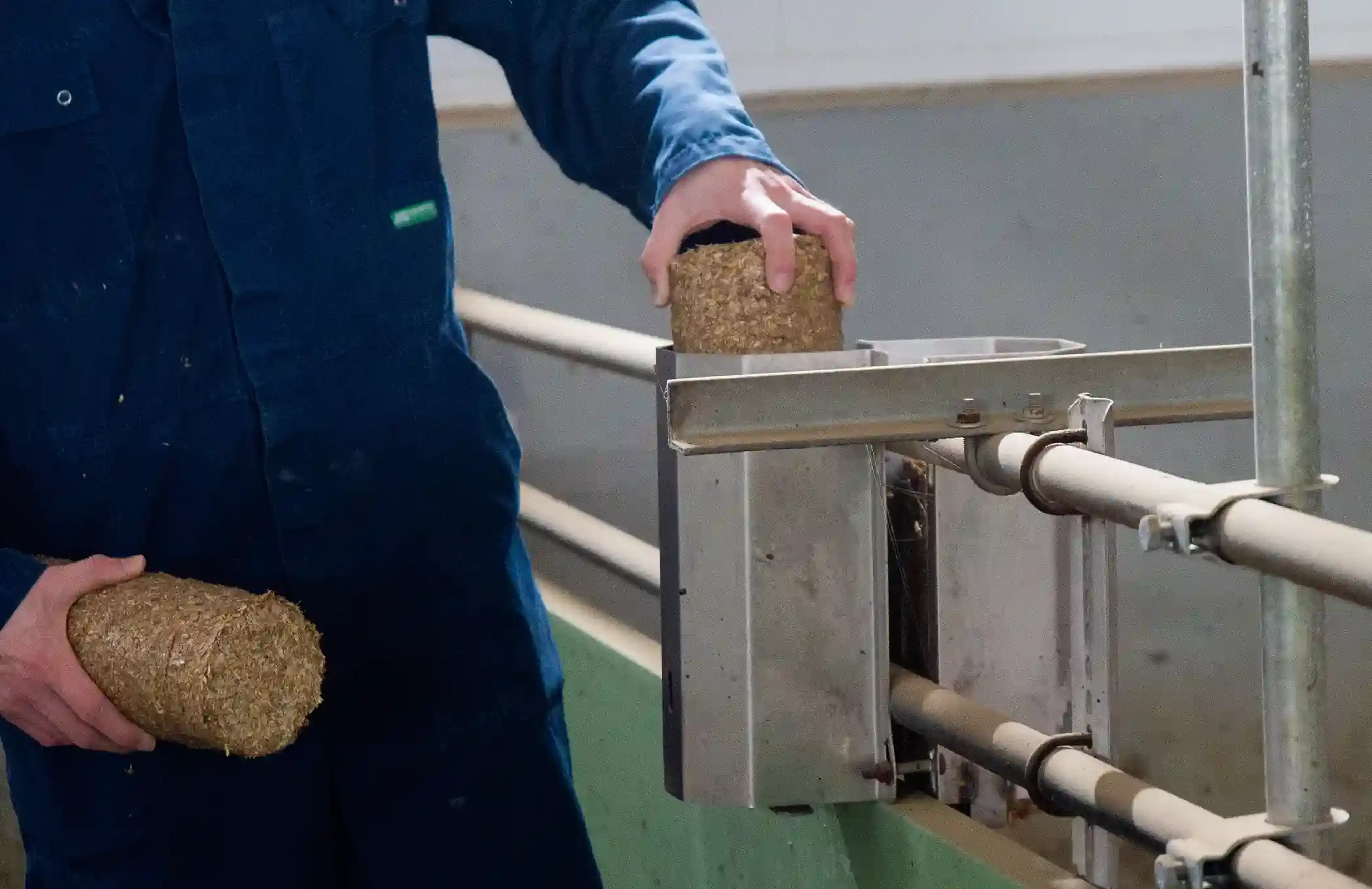 Verbeter het welzijn en gezondheid met hokverrijking voor varkens