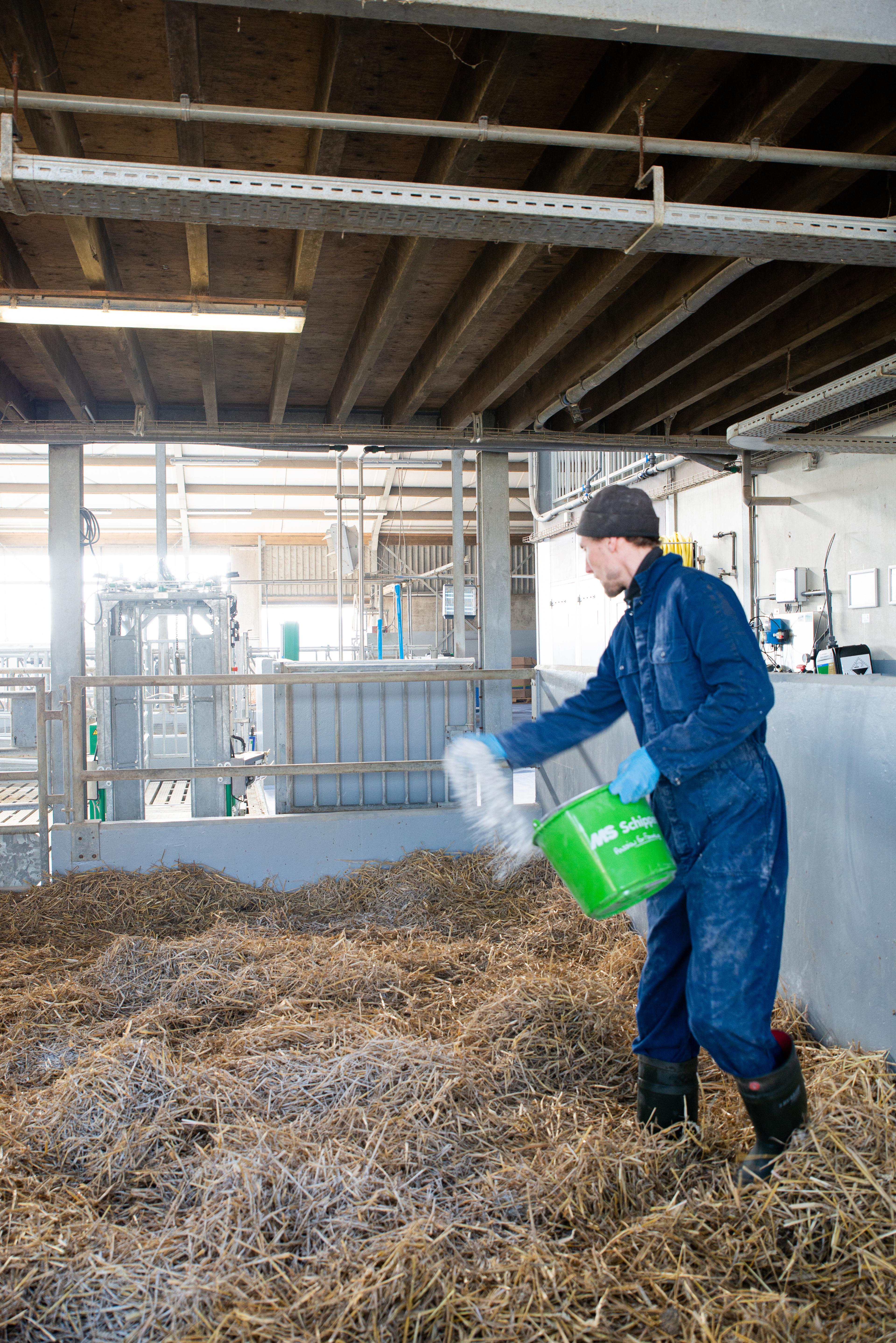 Drying powders in cubicles, calf huts and calf pens