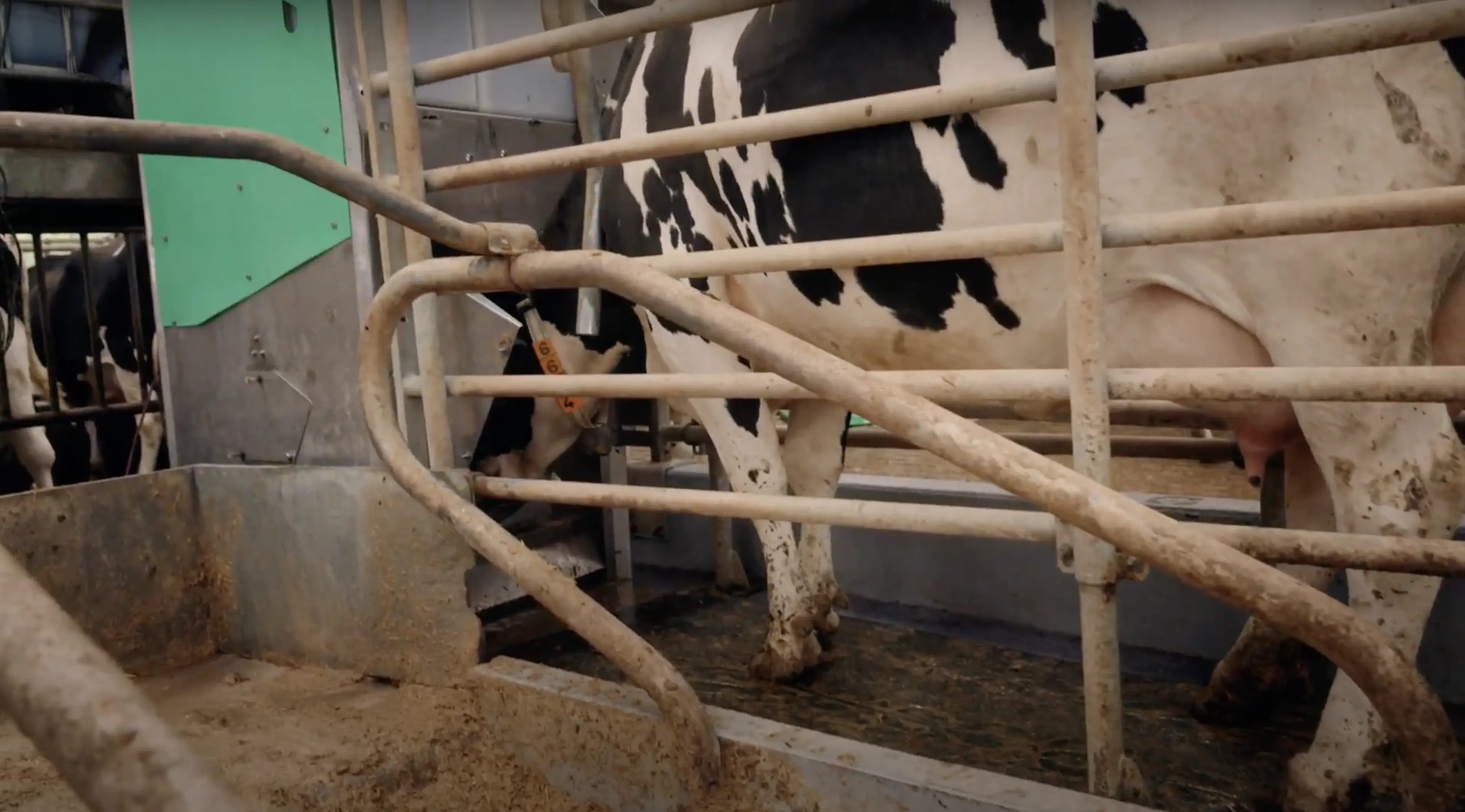 News - Same feed for all? That’s the problem.