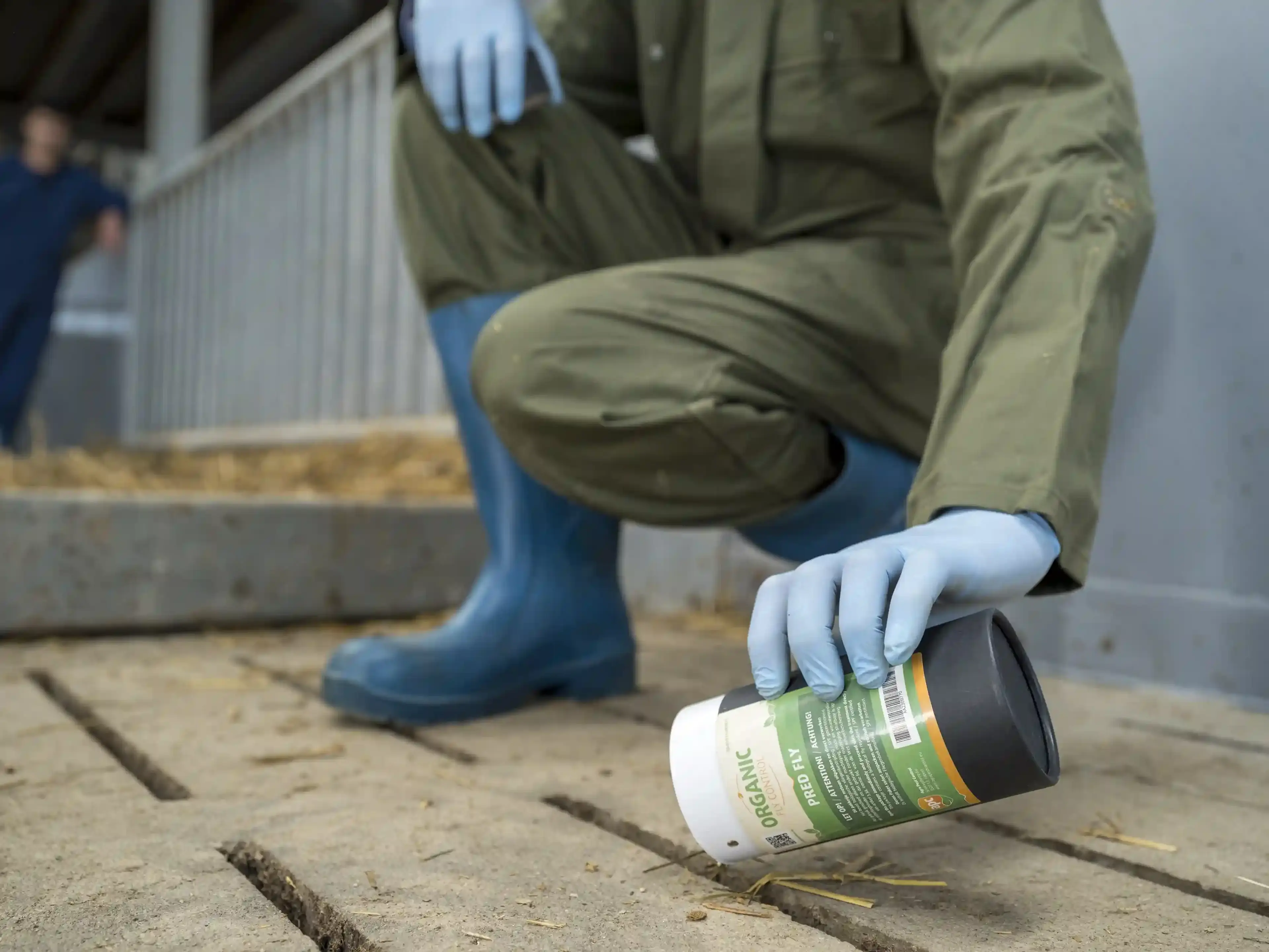Éliminez les larves de mouches et stoppez l’infestation