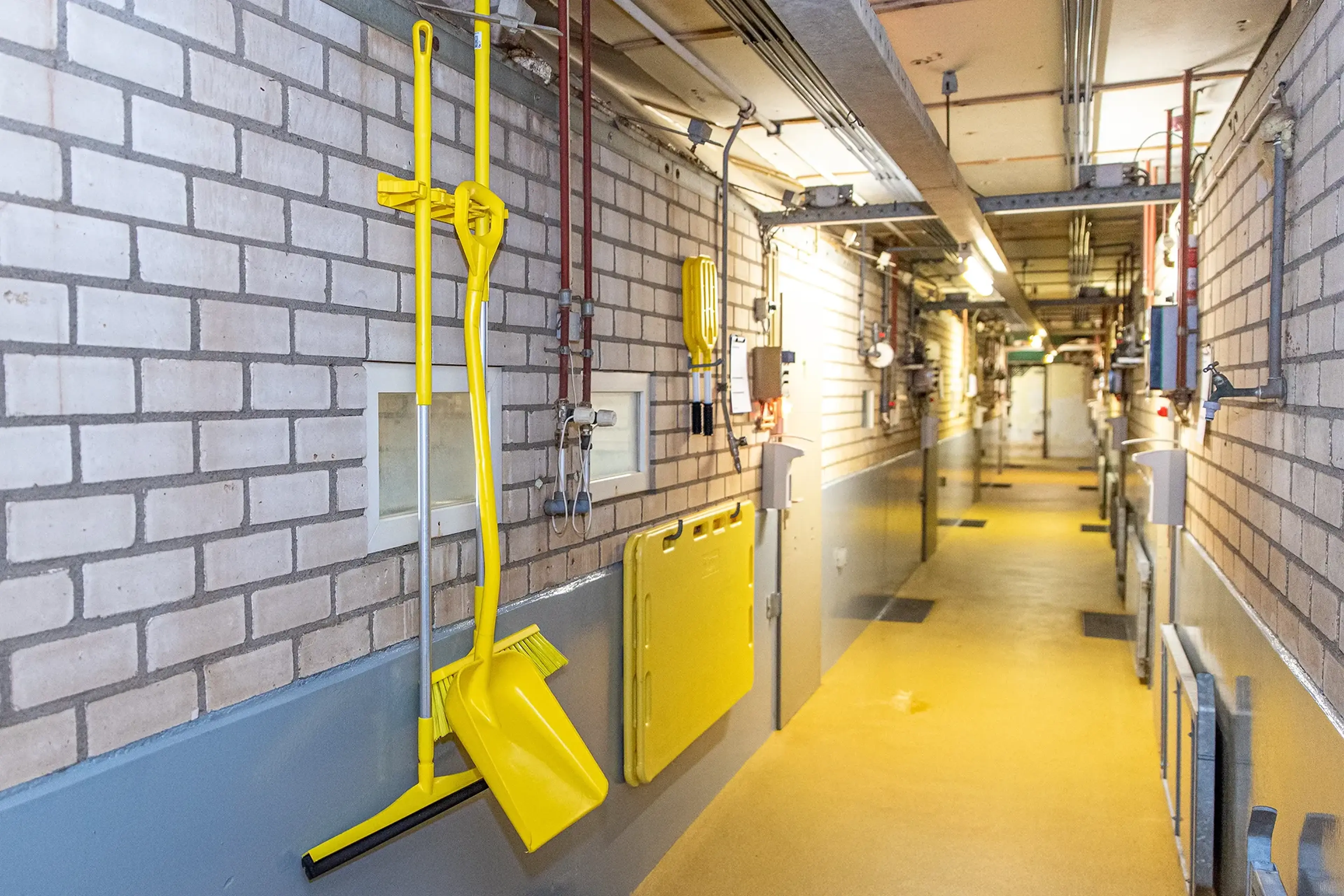 Cleaning the pig pen in 7 steps