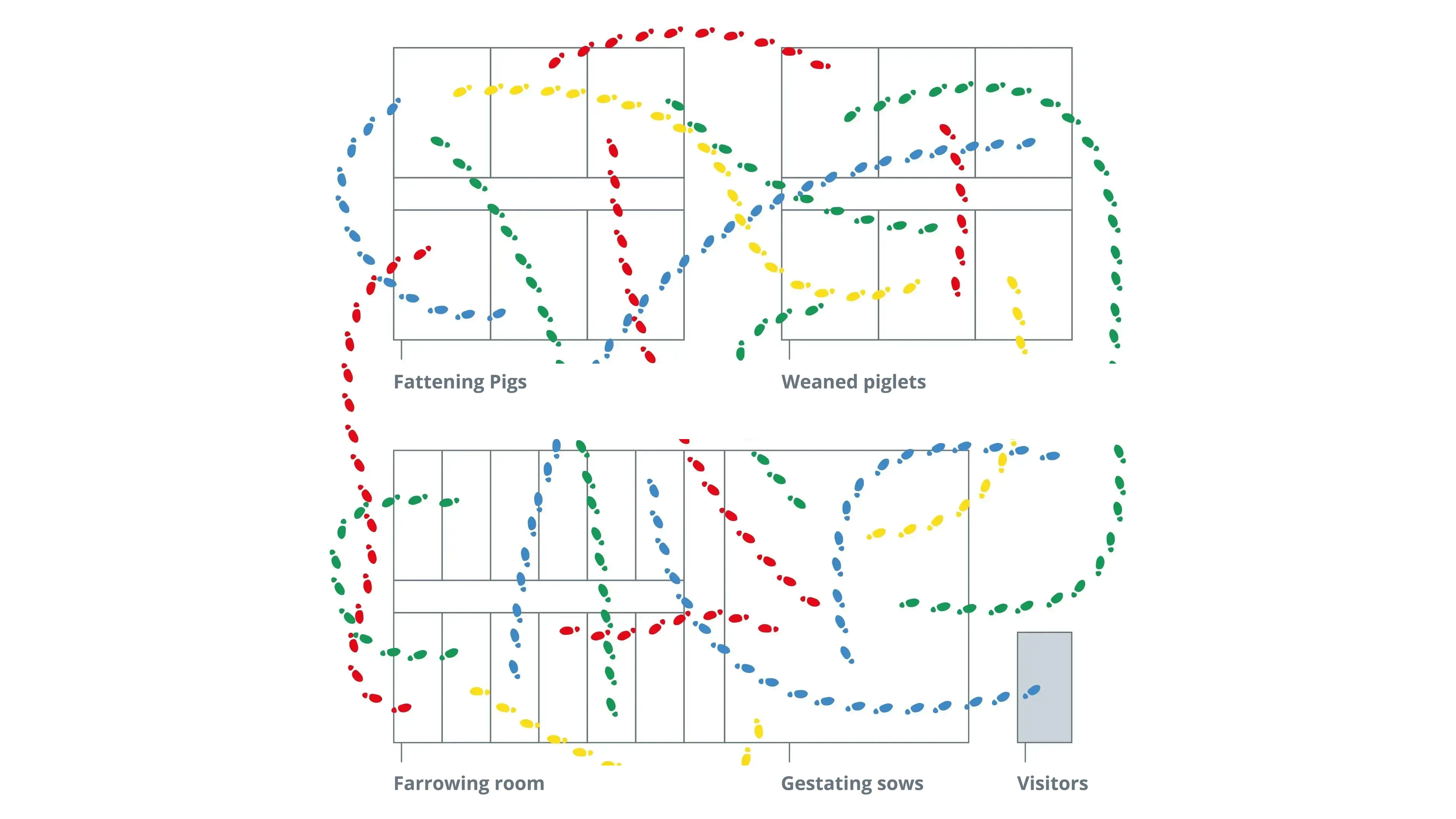 Verhindert Sie Kreuzkontaminationen dank unseres Farbsystems