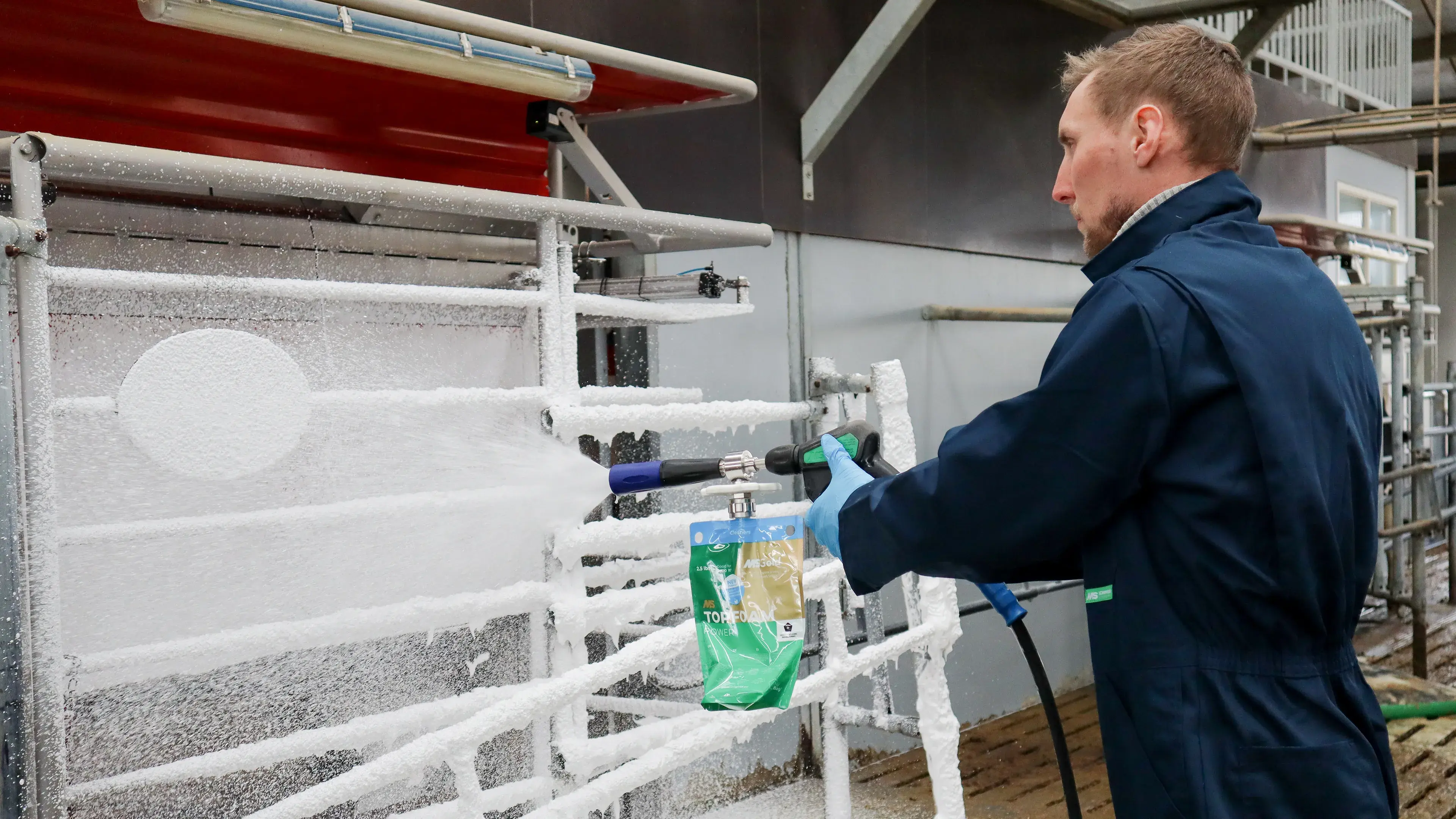 The 5 steps to prevent Salmonella in cattle