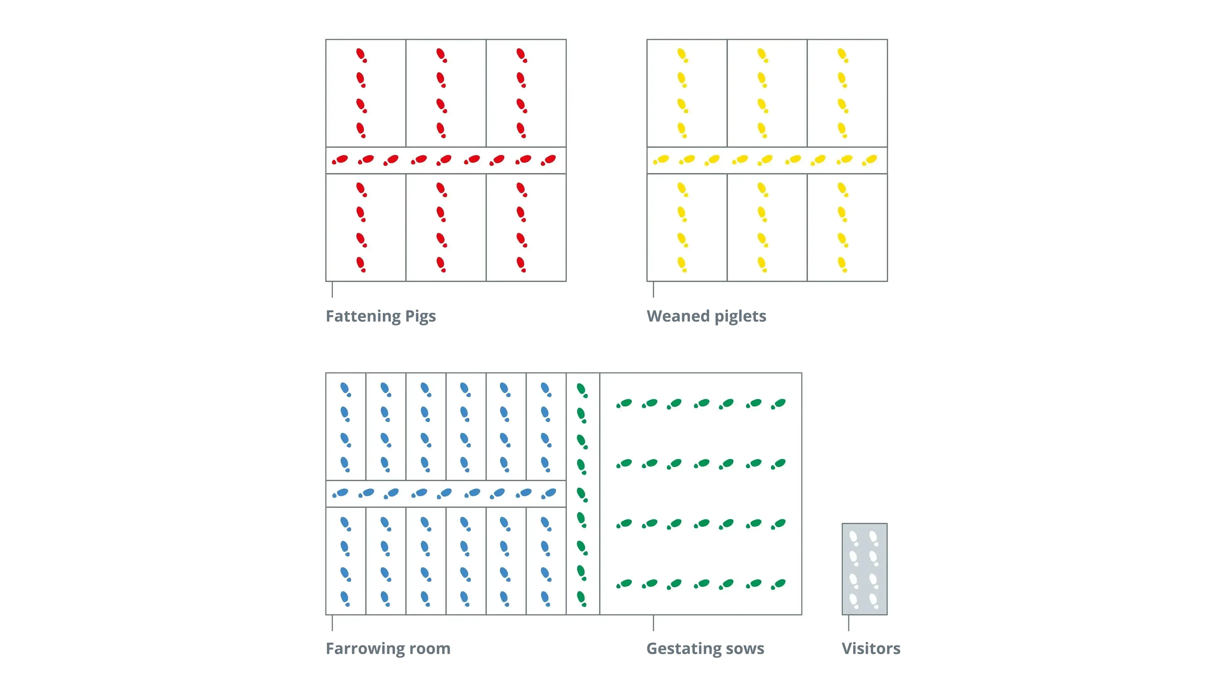 Prevent cross-contamination in livestock farming with a colorsystem