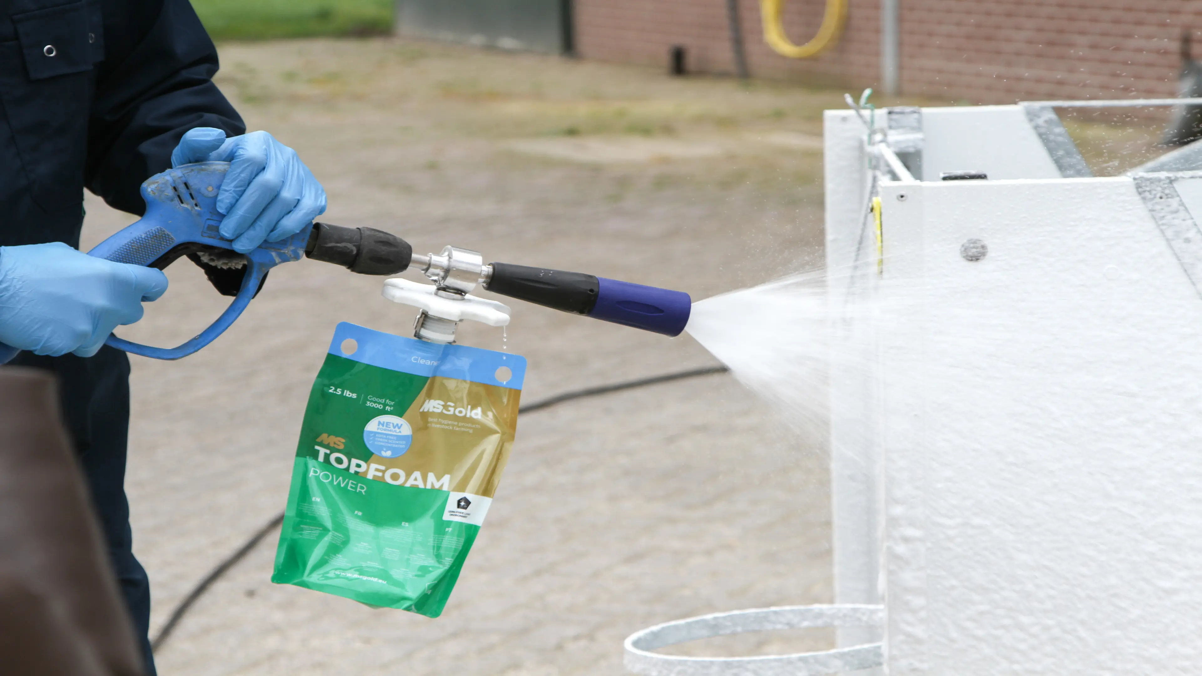 Get all information you need to improve your calf health.