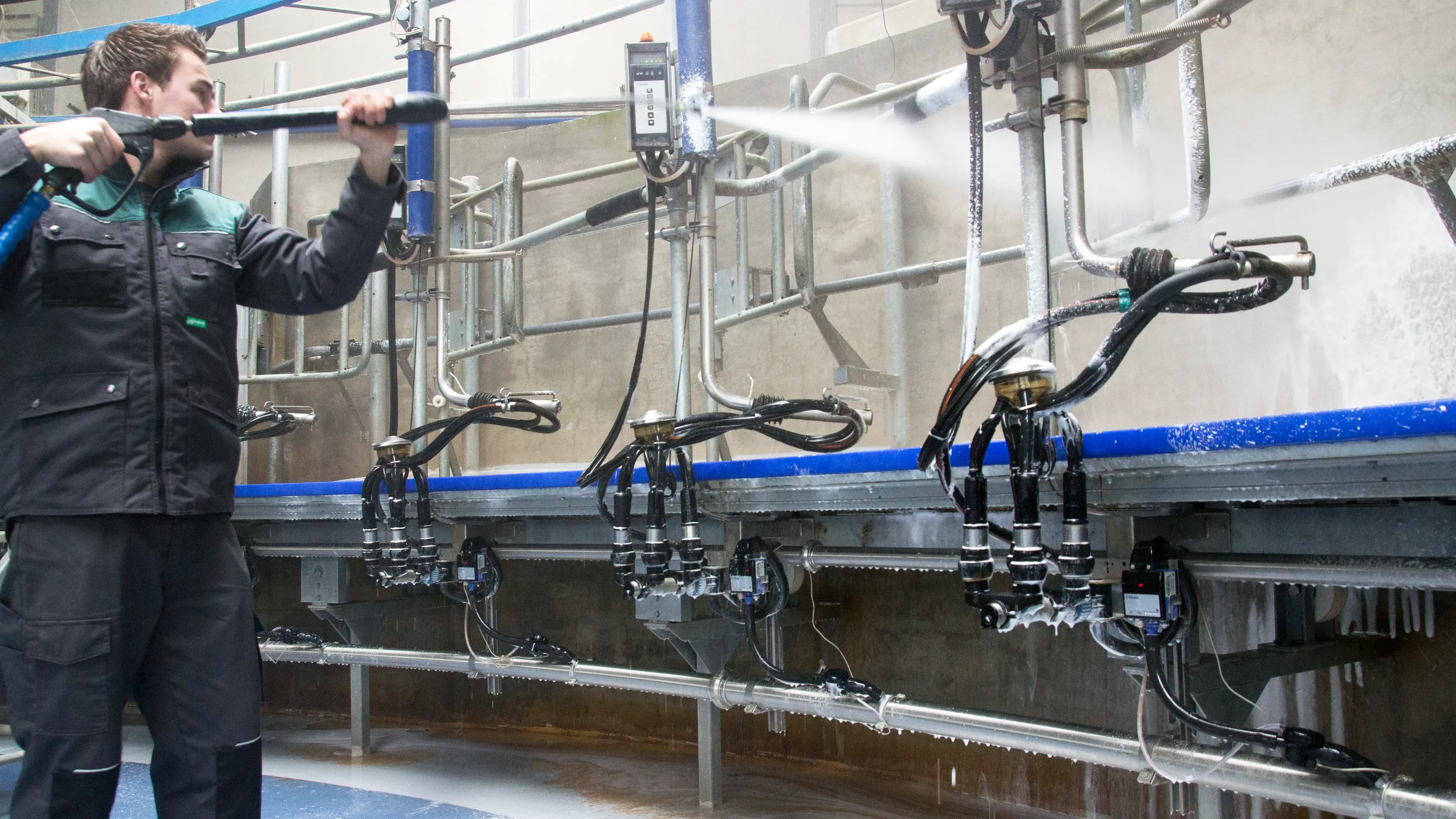 Limpieza y desinfección del ganado para un rendimiento óptimo