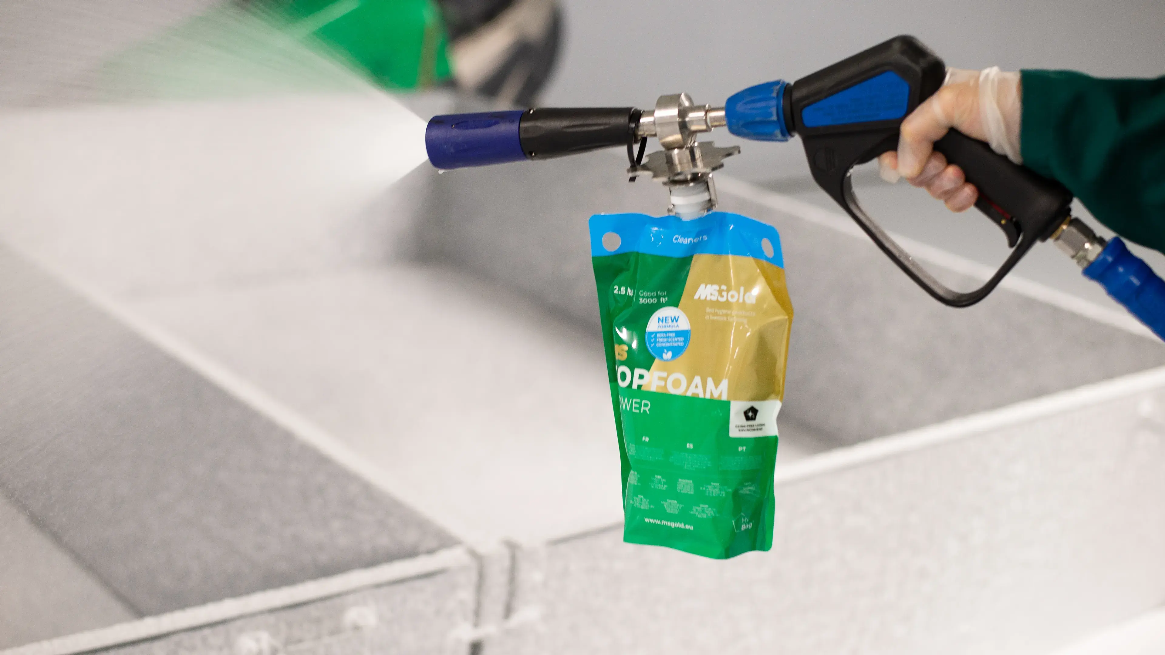 5 pasos para proteger a tus cerdos de la coccidiosis