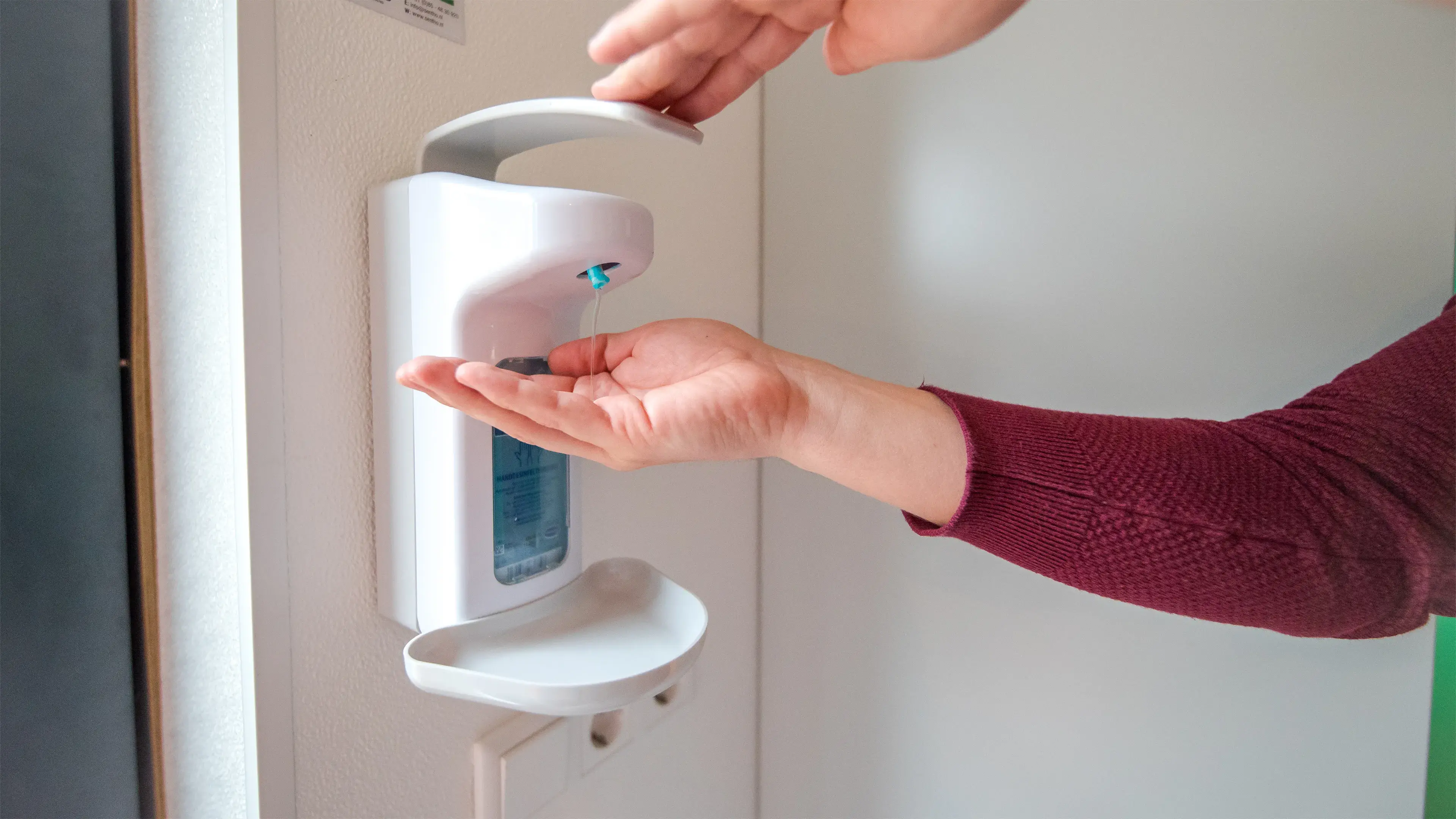 The 5 steps to prevent Marek's Disease in chickens