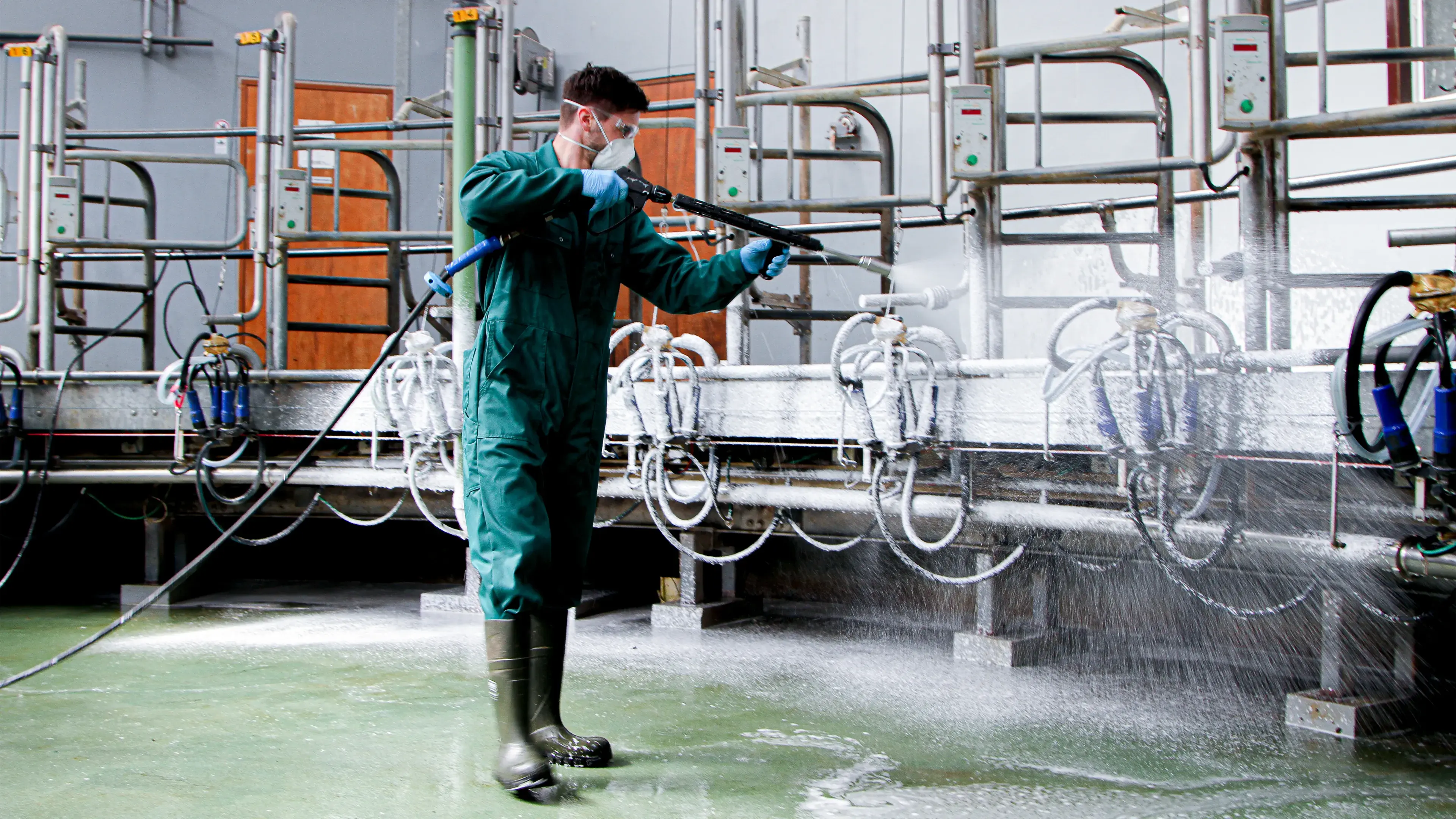 Cleaning & Disinfection - Cattle