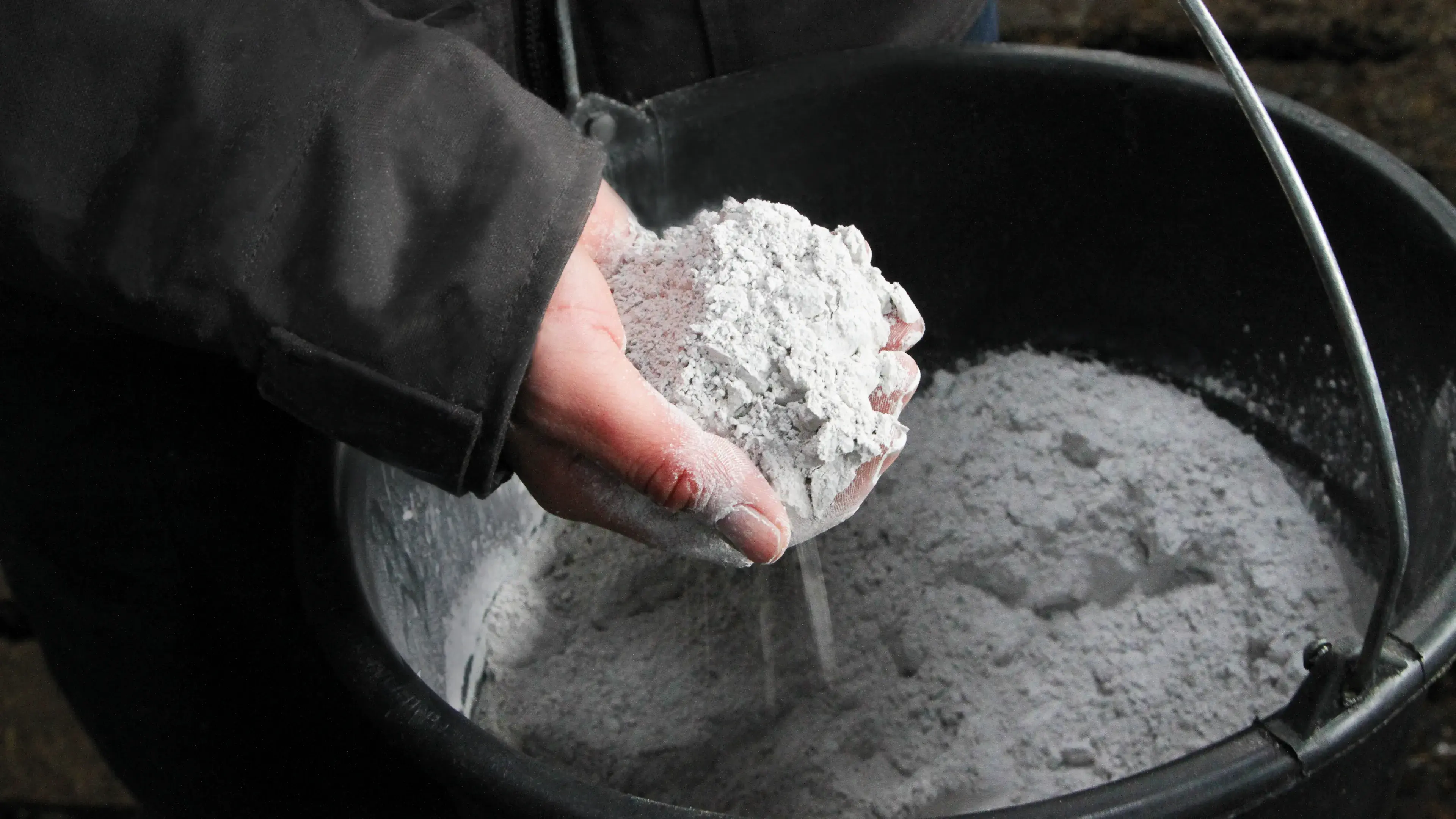 Reduce disease pressure on pigs with dry powders