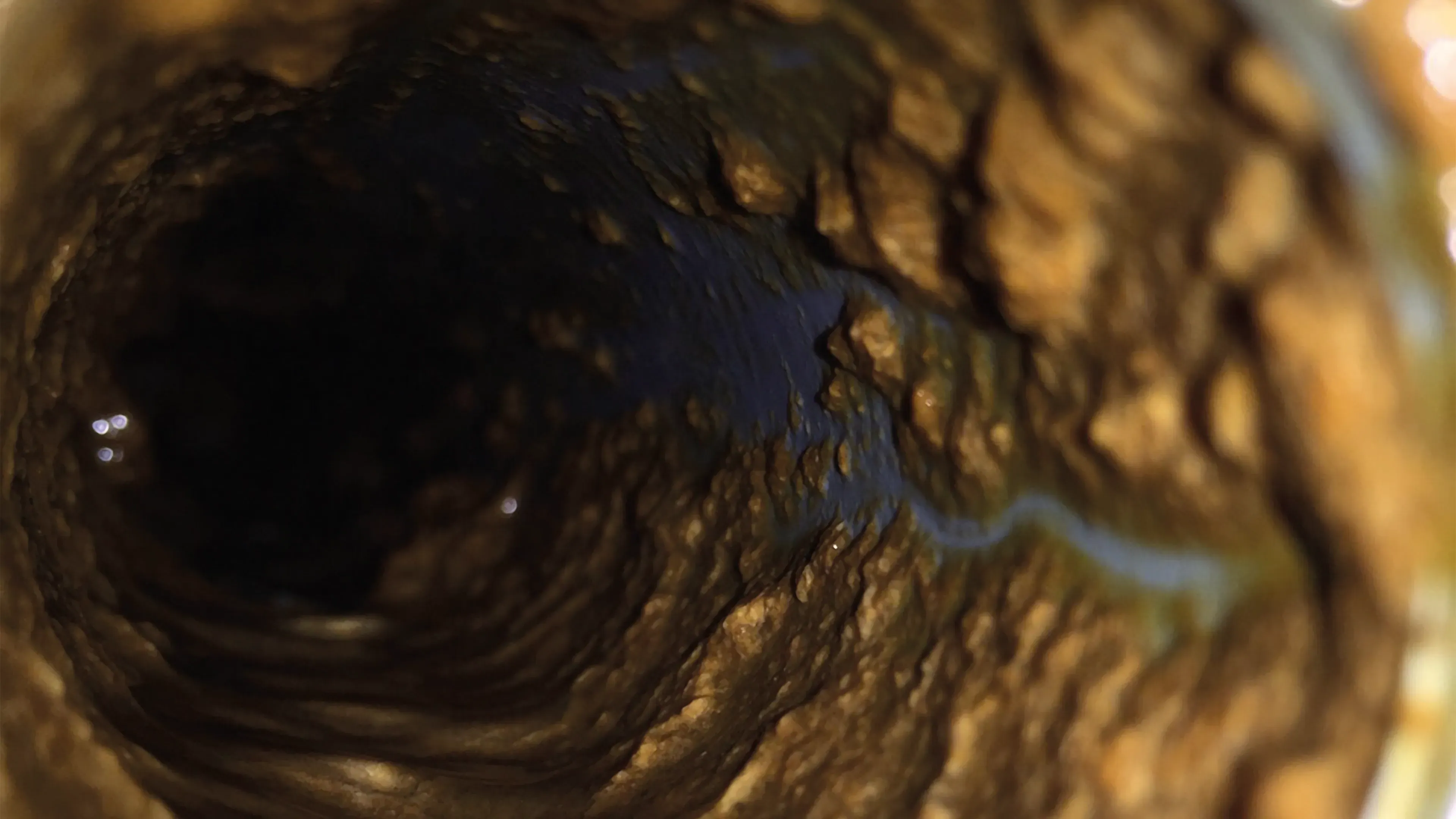 Water treatment in livestock farming