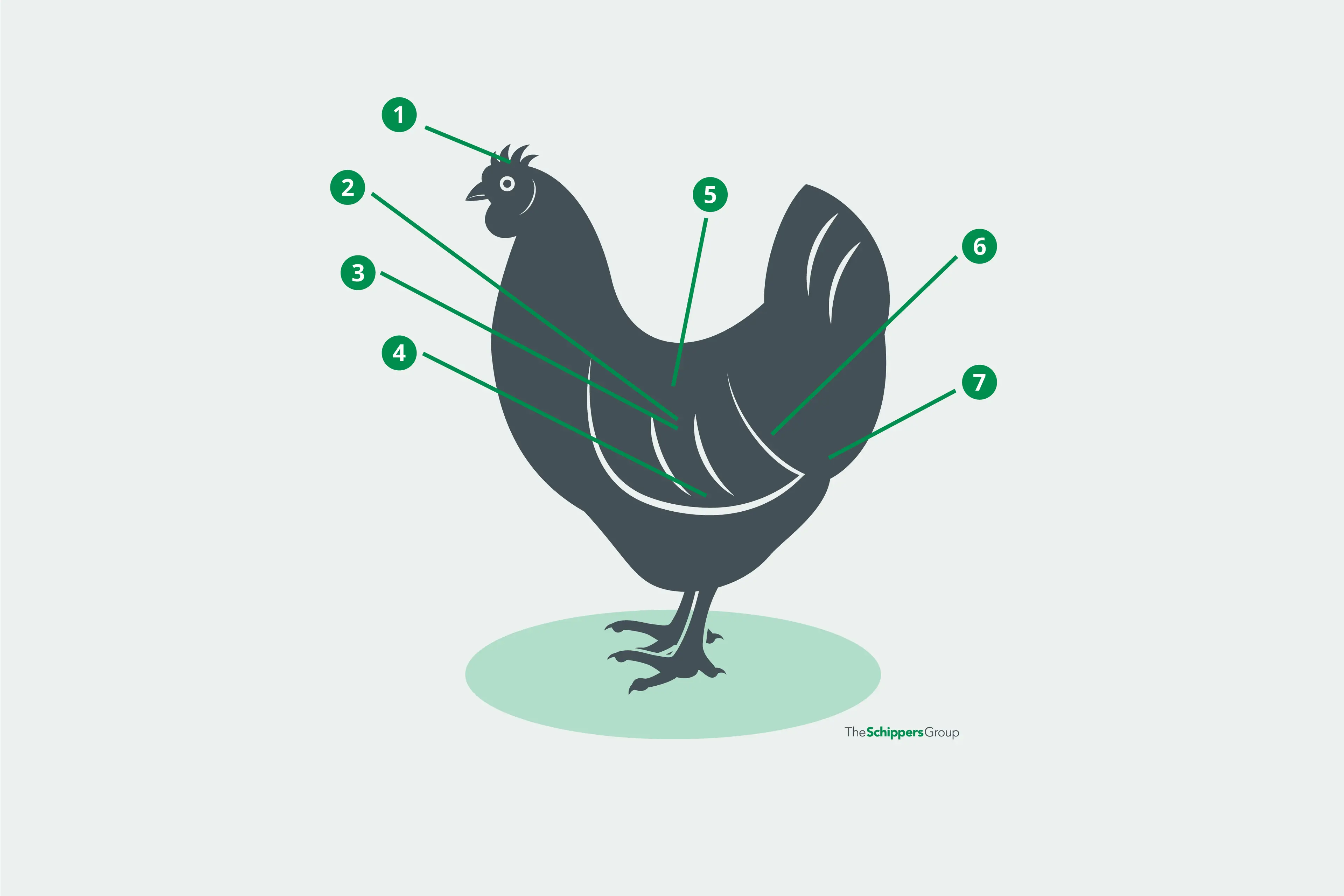 Prevent, recognize and control red mites in poultry