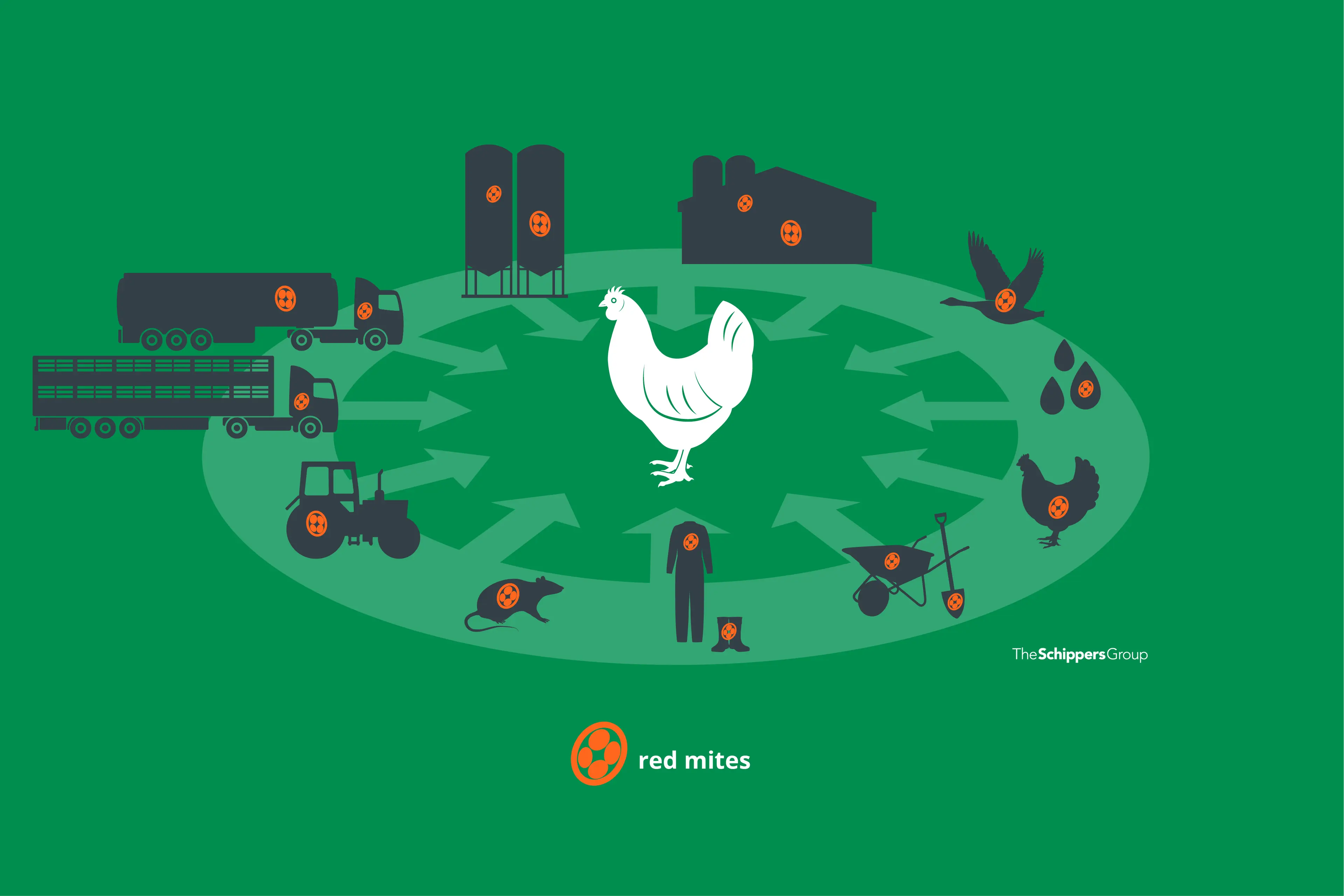 Prevent, recognize and control red mites in poultry