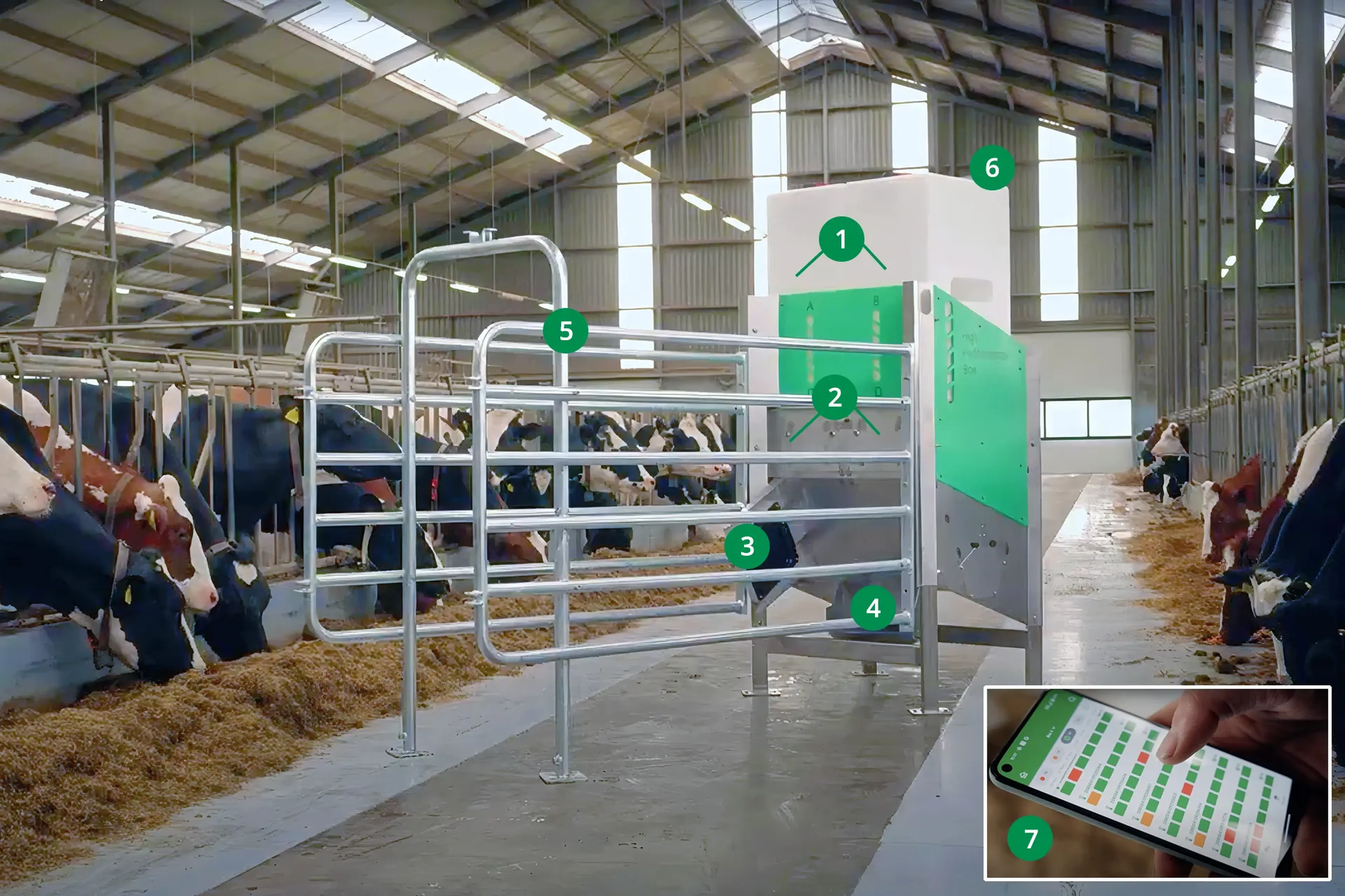 Voersysteem op maat voor maximale resultaten