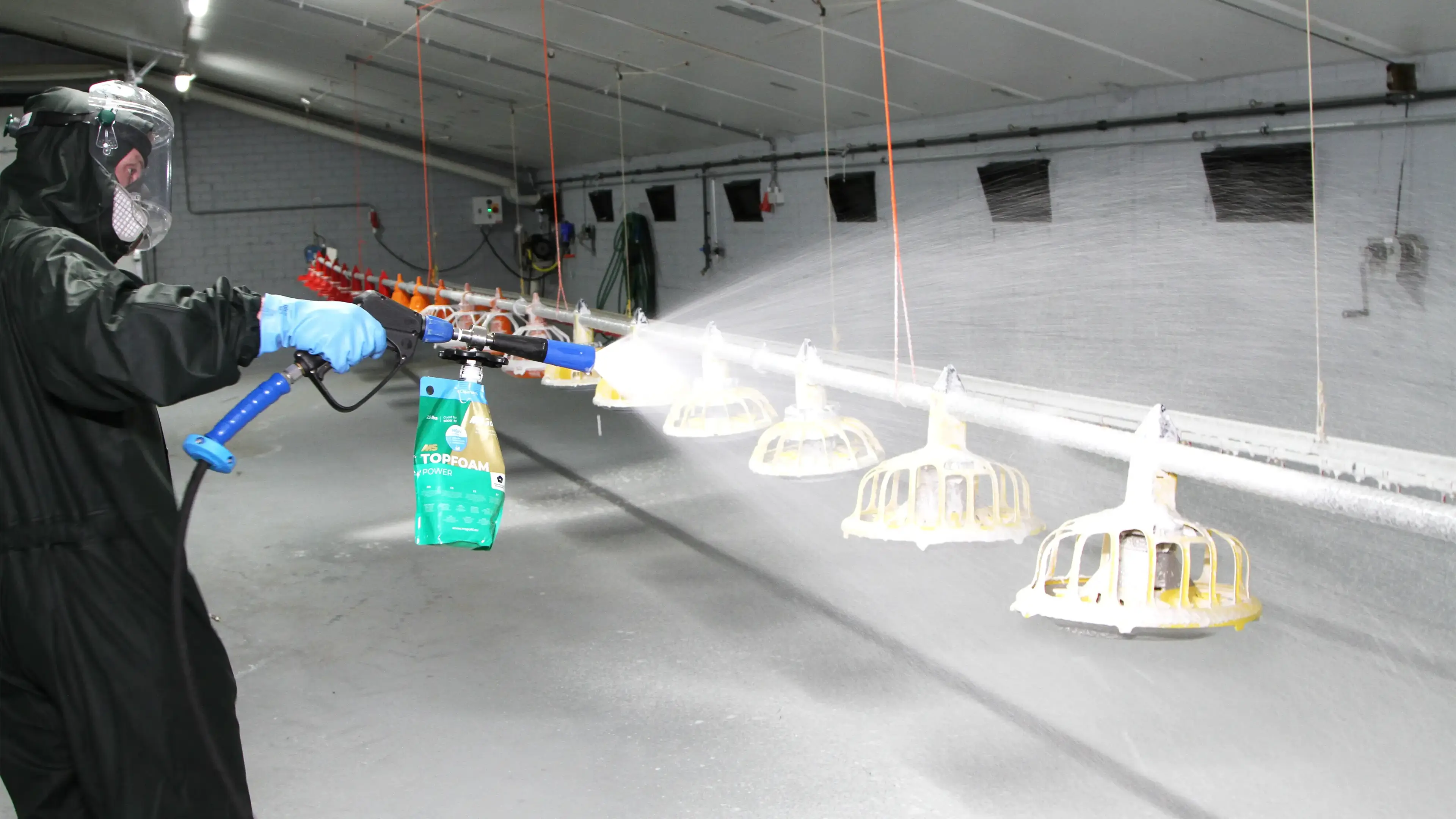 5 stappen om vogelgriep bij kippen te voorkomen