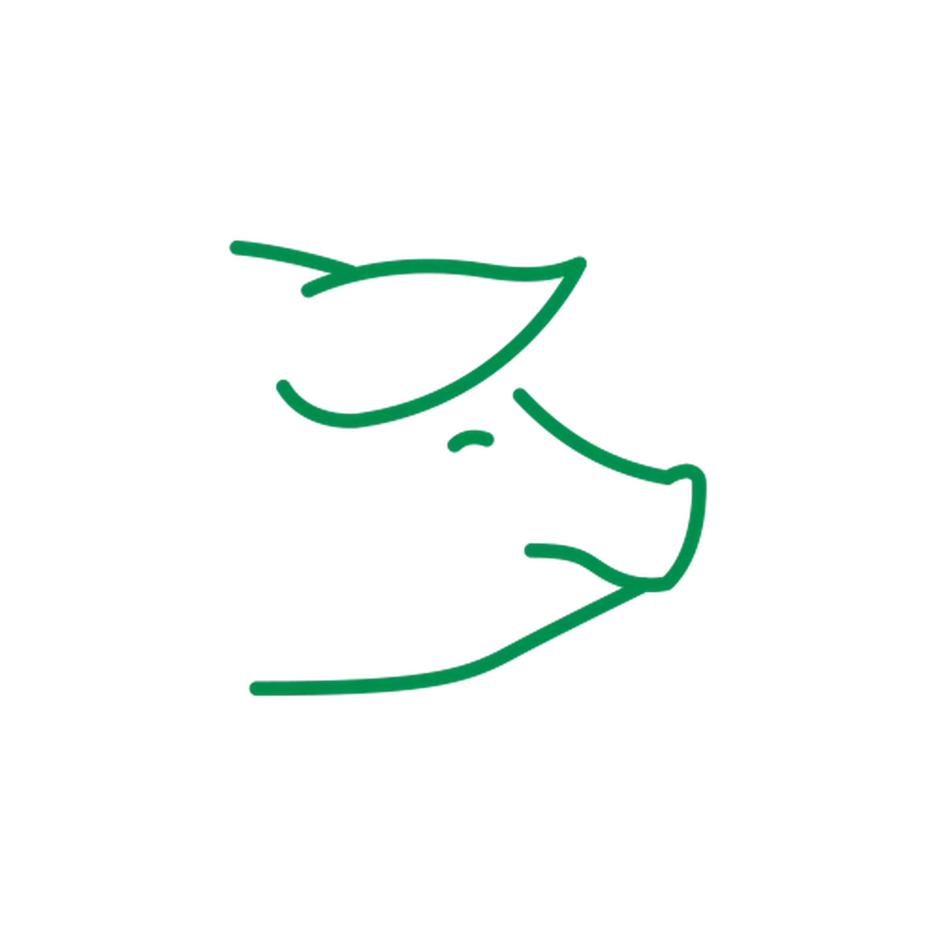 Willkommen bei MS Schippers!