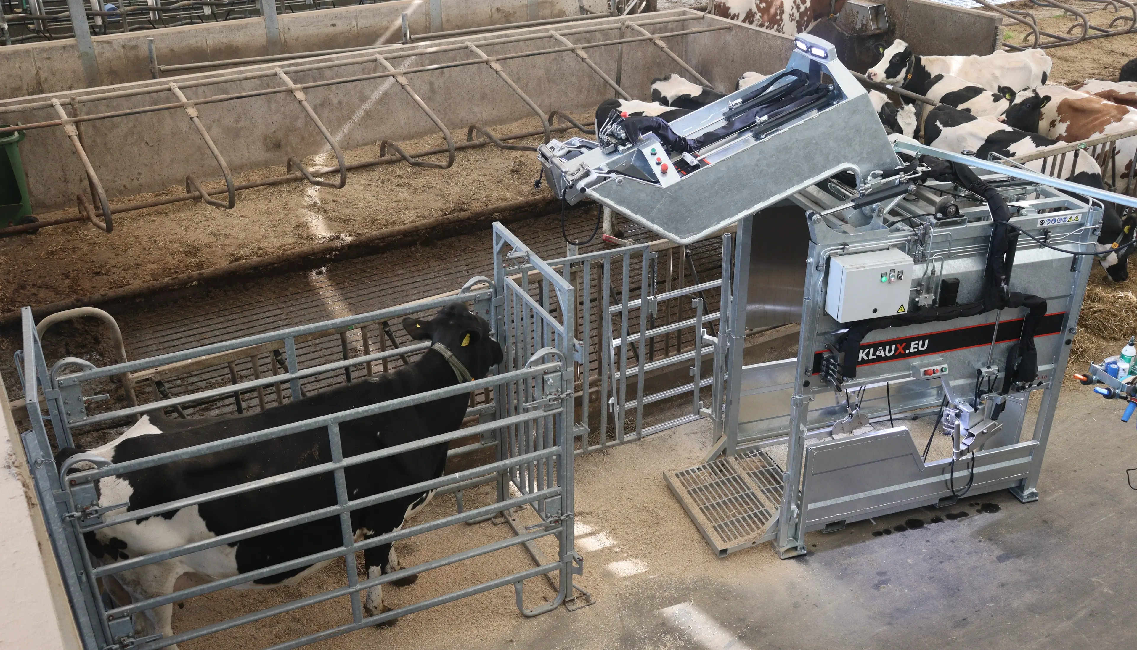 The double belly band chute by Klaux.eu