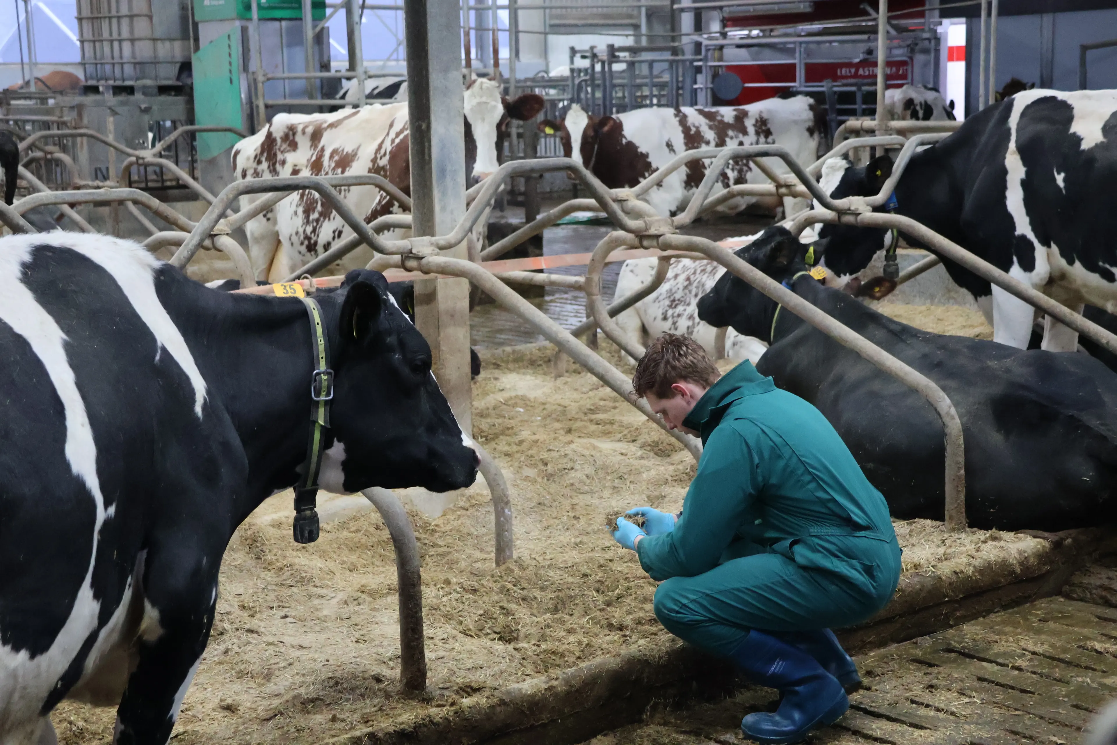 Udder Care: The Foundation of Good Udder Health