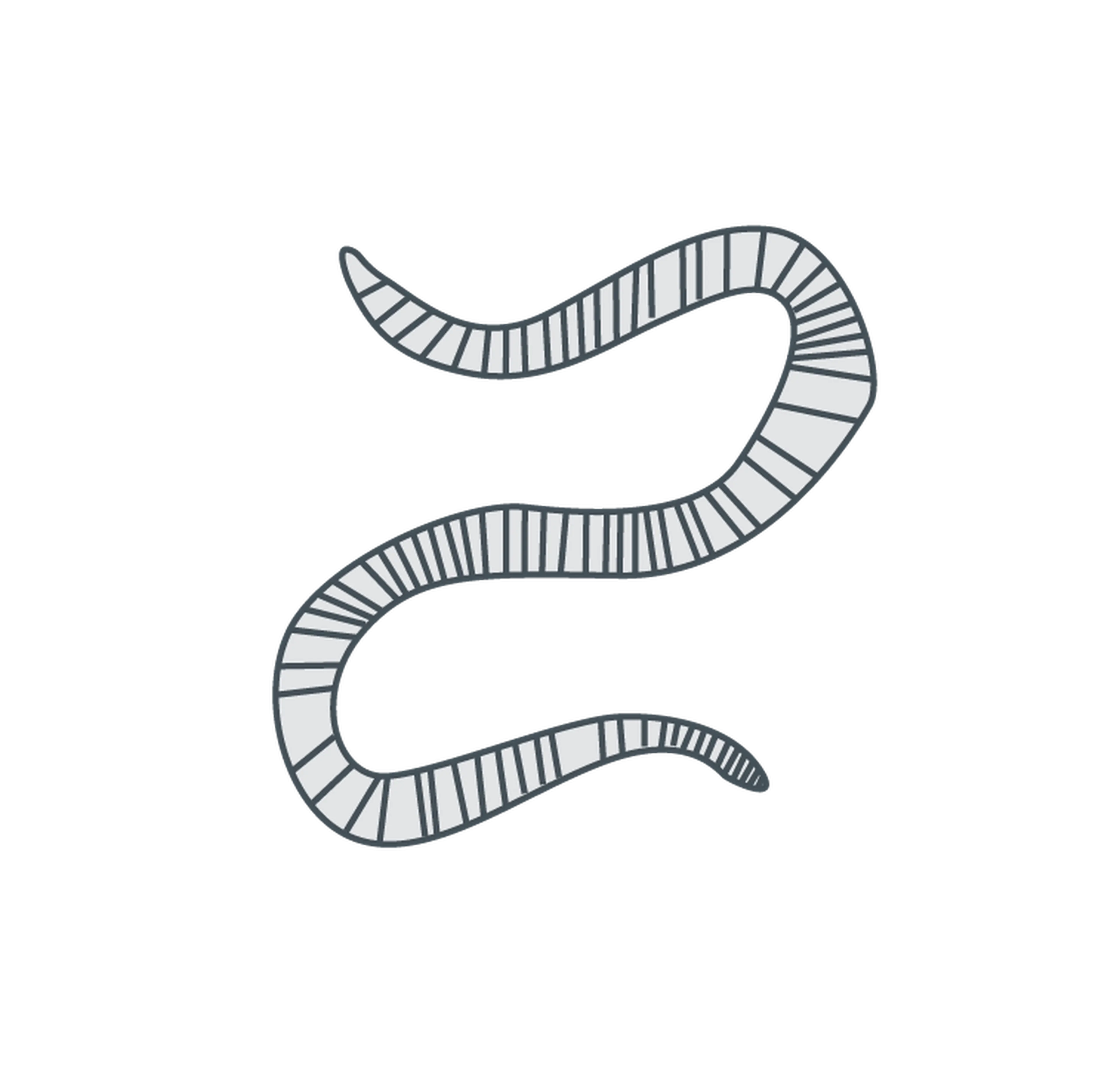 Hoe herken en stop je (spoel)worm infecties?