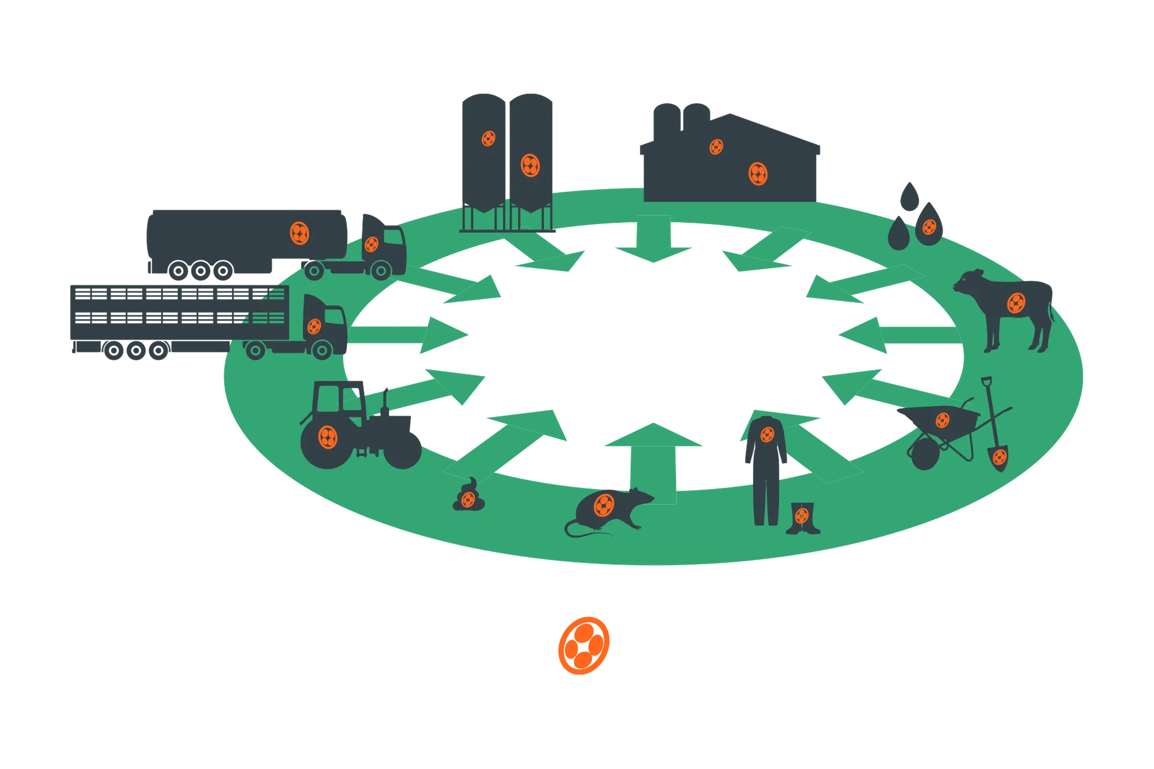 Proteja a sus terneros contra la coccidiosis en 5 pasos