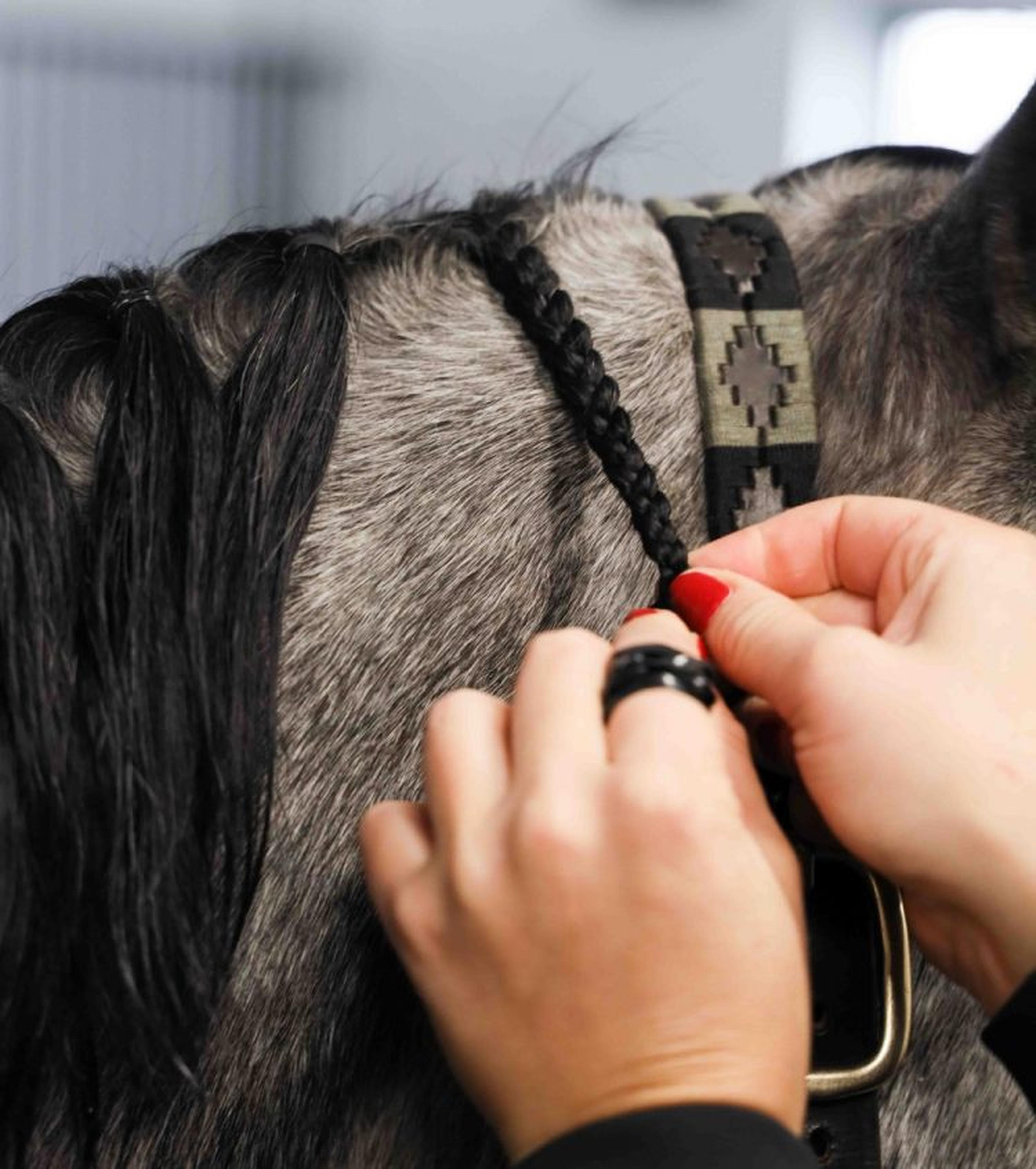 Braiding Guide - Maya Delorez