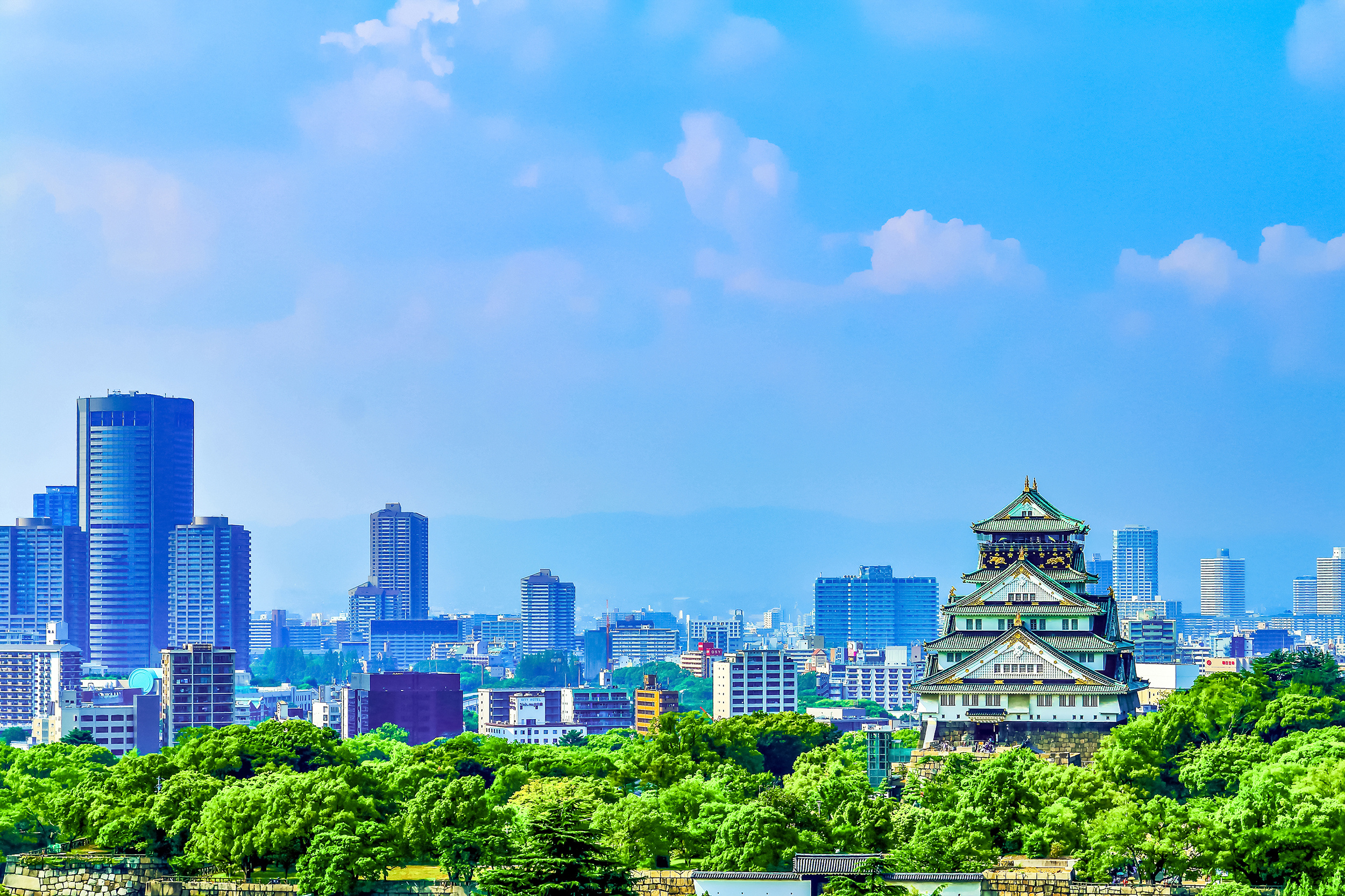 Kansai Electric Power Group and Hartree Partners sign first term ...