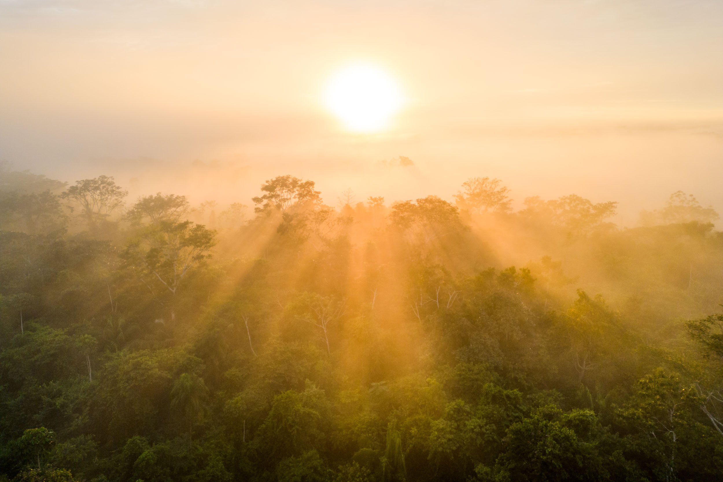 Protecting the unprotected: The Brazilian Amazon Grouped Forestry Project