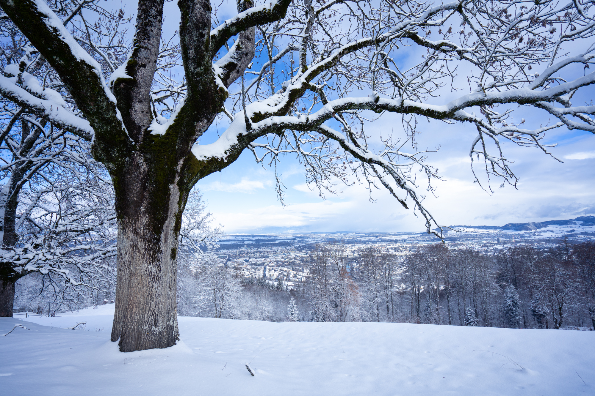 Gurten – Park im Grünen - Bern Welcome