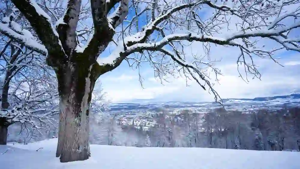 Berne - Bern Welcome