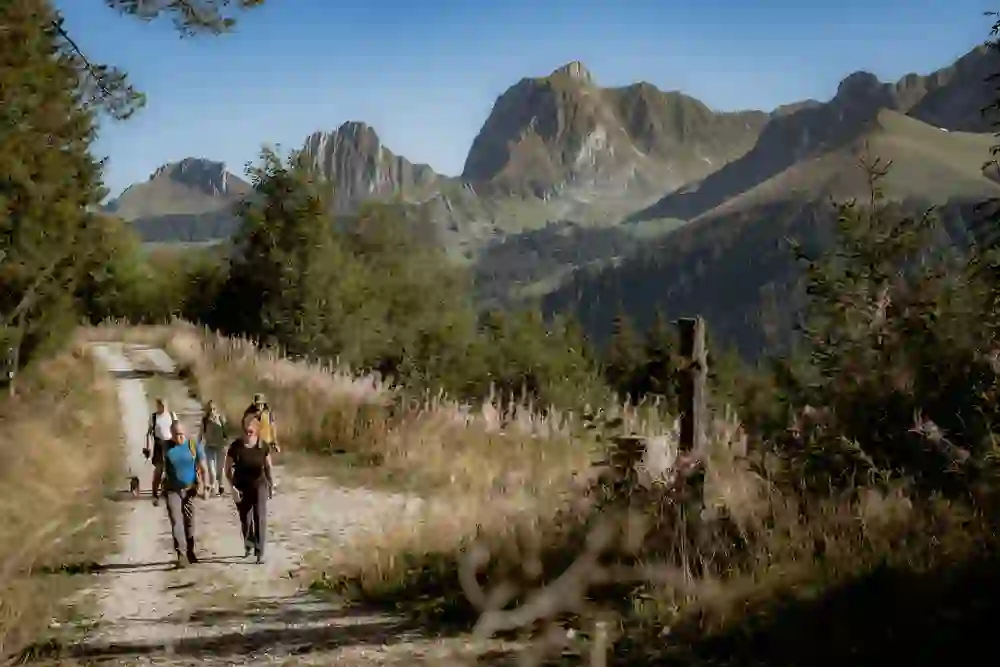 Explore - Bern Welcome