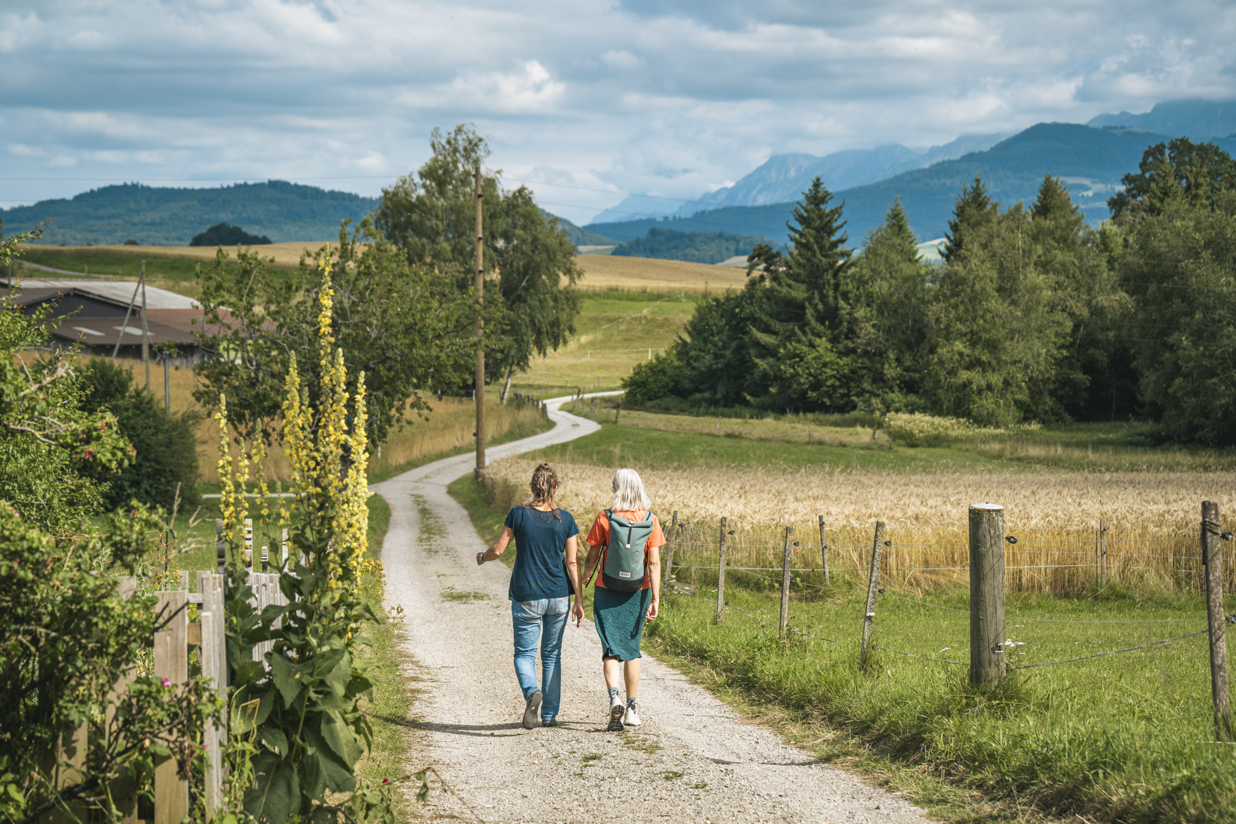 The most beautiful walks in Bern - Bern Welcome
