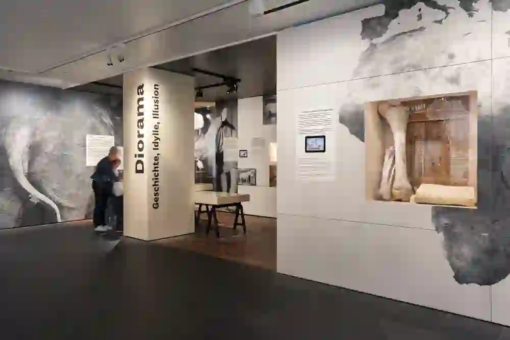 Naturhistorisches Museum - Bern Welcome