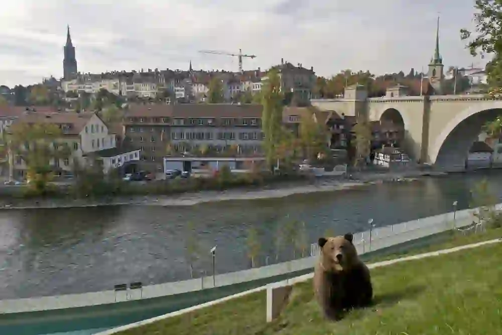 Tierpark Bern, Dählhölzli + BärenPark - Bern Welcome