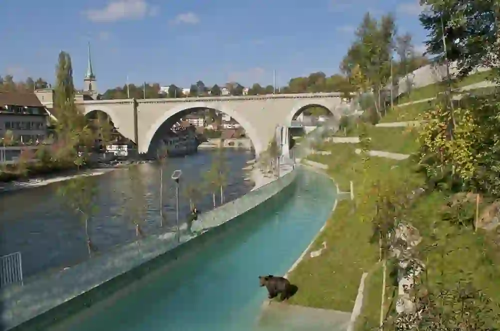 Green Aare Walk - Bern Welcome
