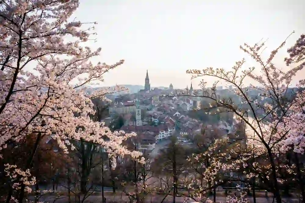 Mission, culture and strategy - Bern Welcome