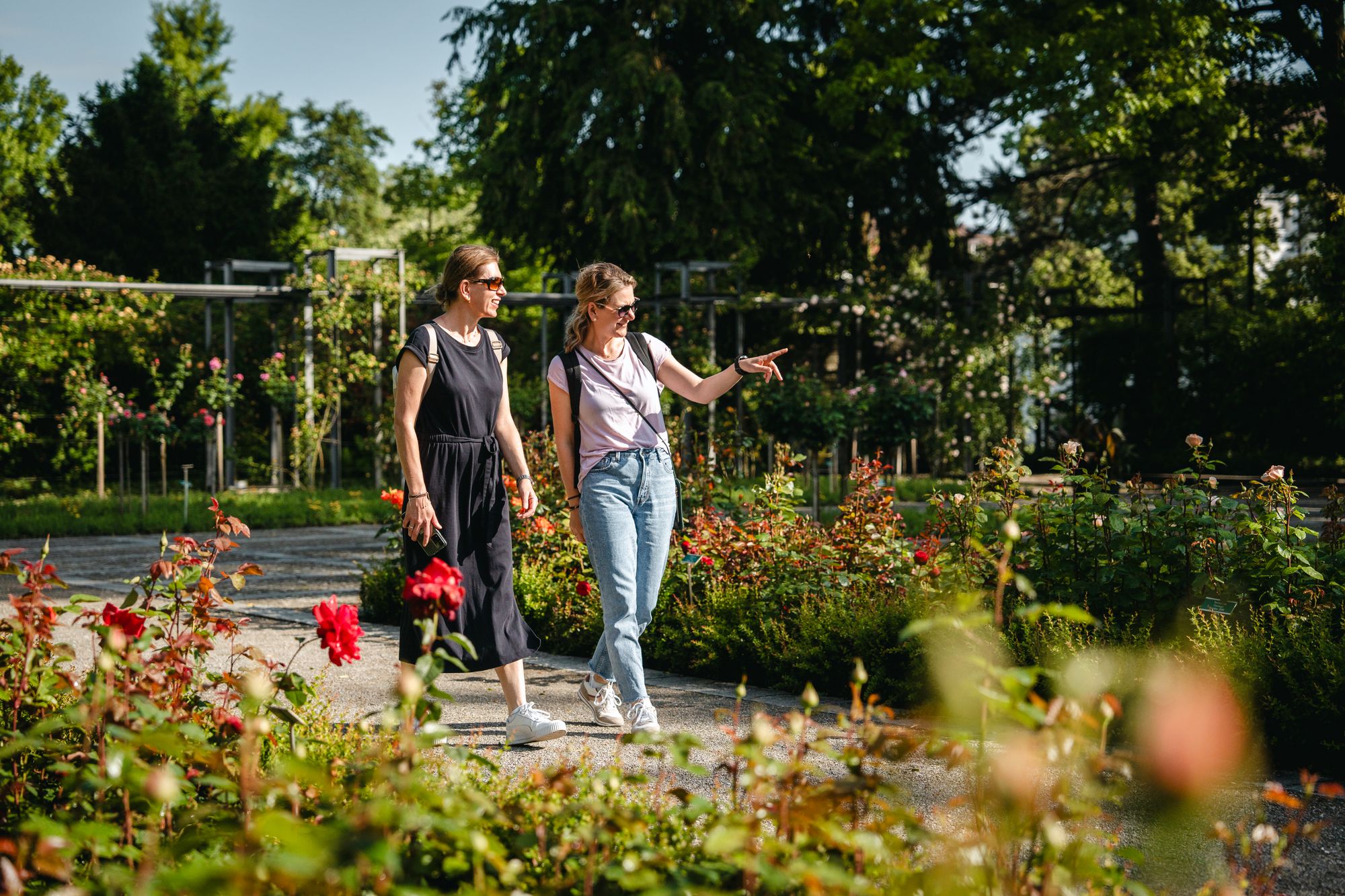 72 hours in Bern - Bern Welcome