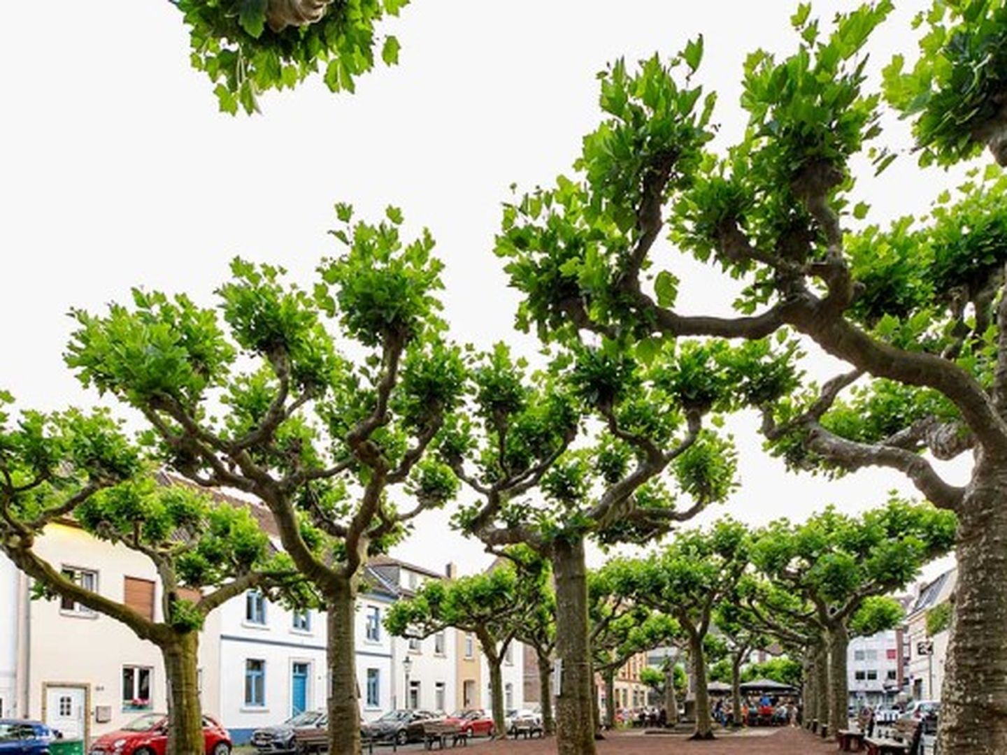 Gerresheim: Düsseldorfer Stadtteilportrait | Stadtwerke Düsseldorf