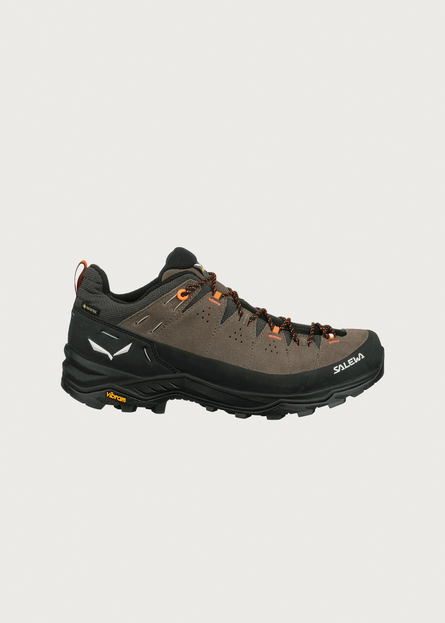 Salewa Alp Trainer 2 GORE-TEX Walking Shoes