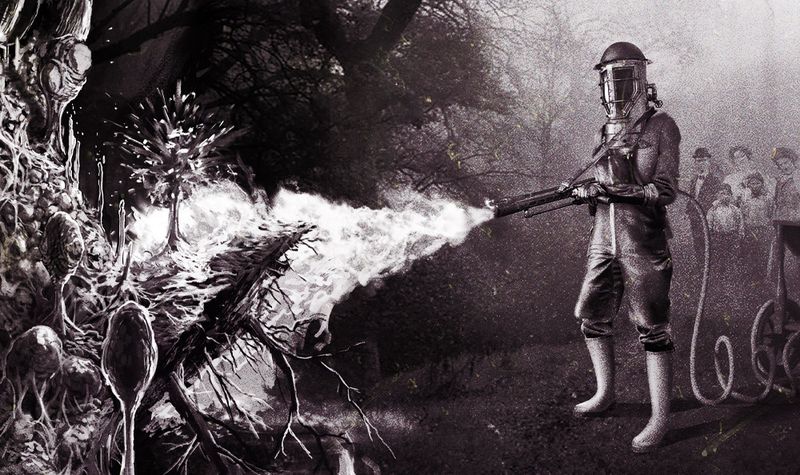 About | Our Brilliant Ruin